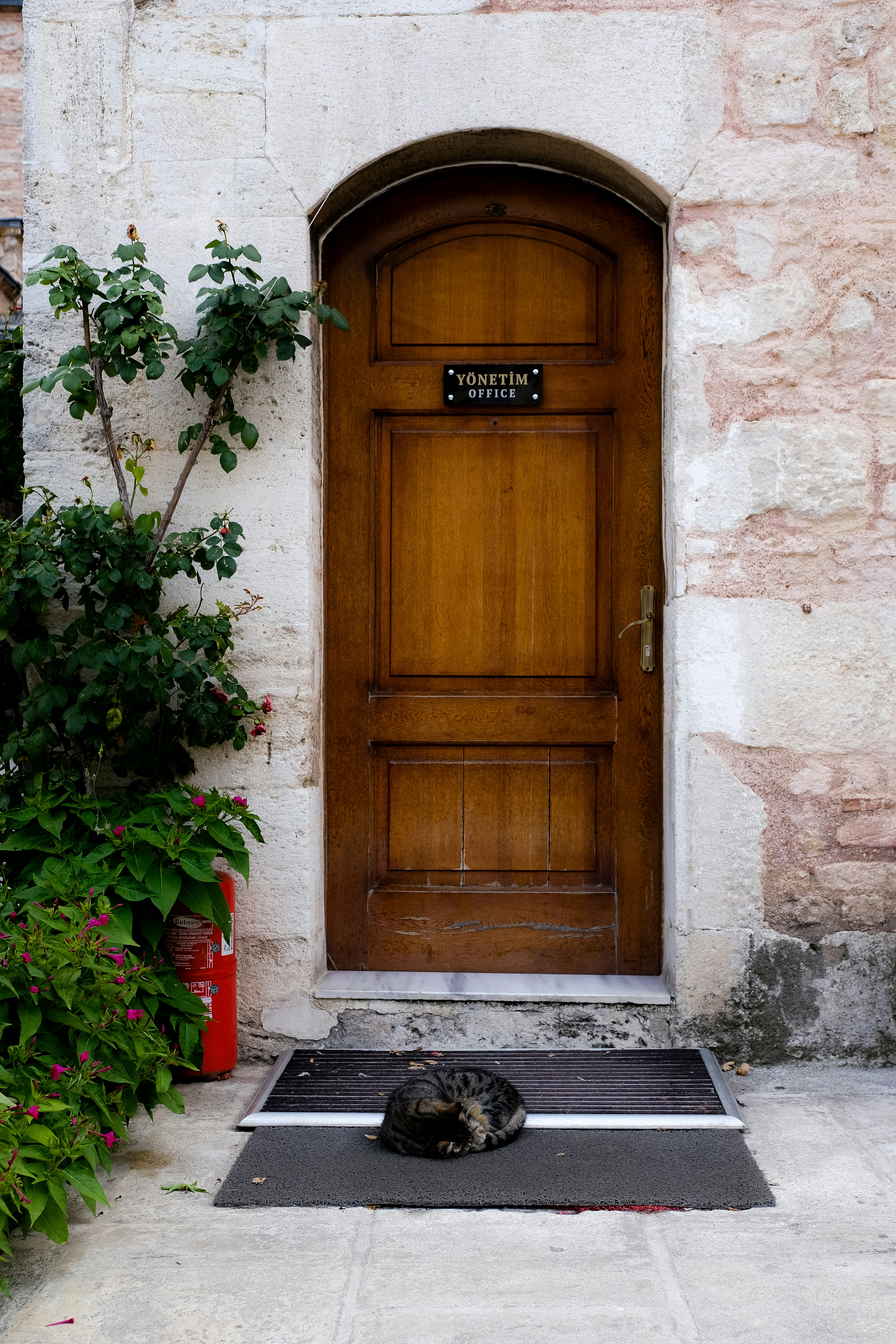 a cat lying on a mat outside a door