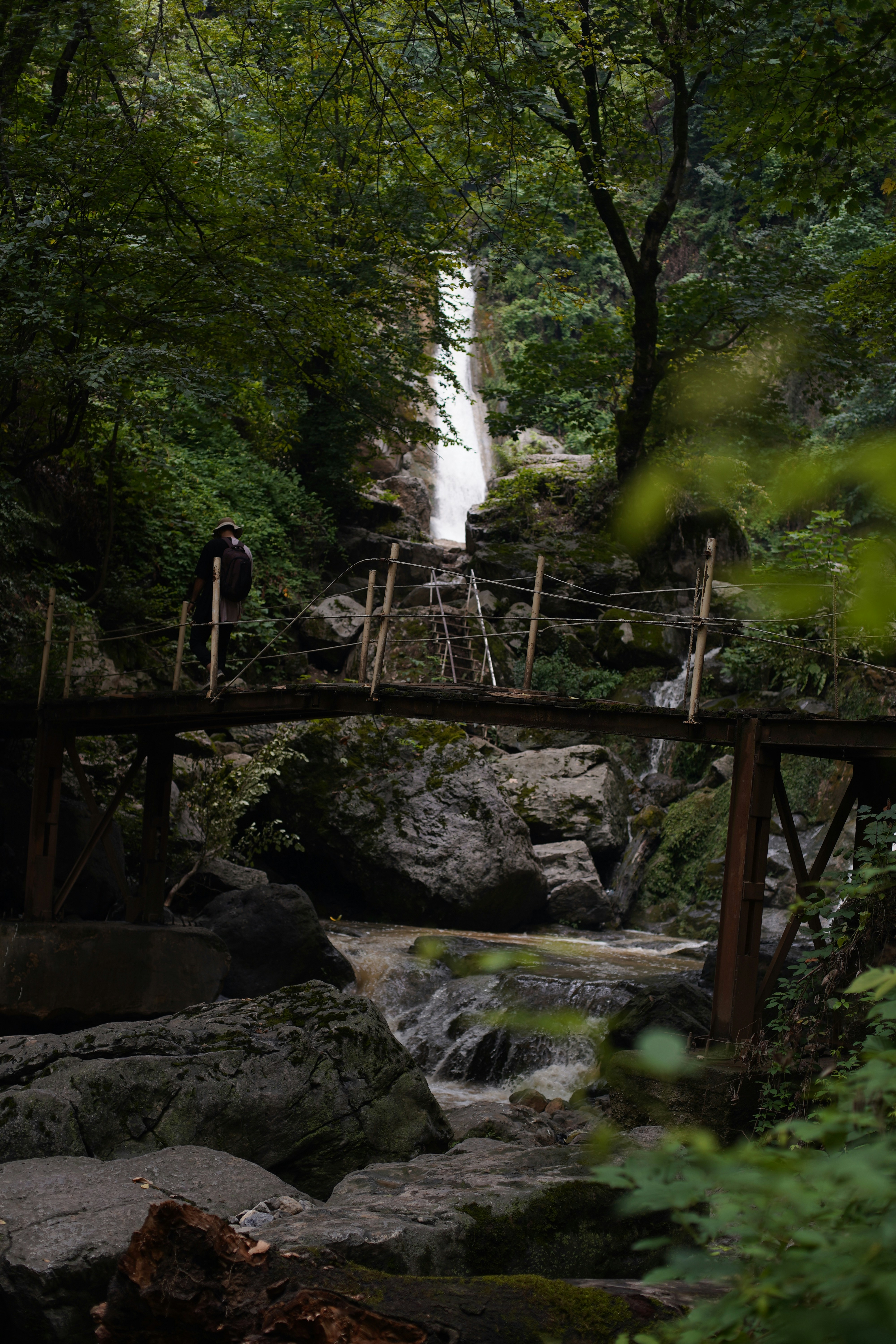 A person standing on a bridge over a stream in a forest photo – Free ...