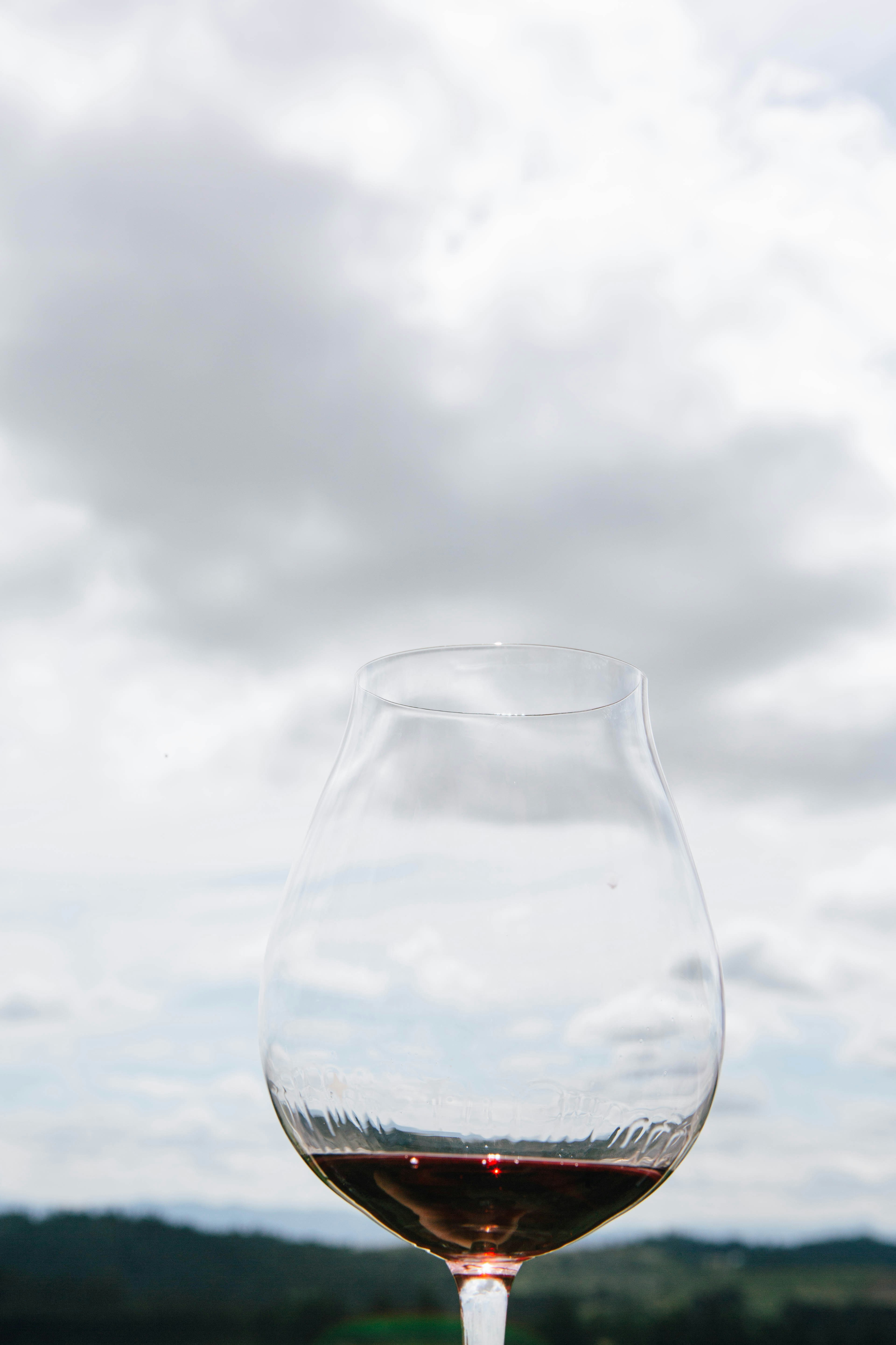 A glass of red wine photo – Free Grey Image on Unsplash