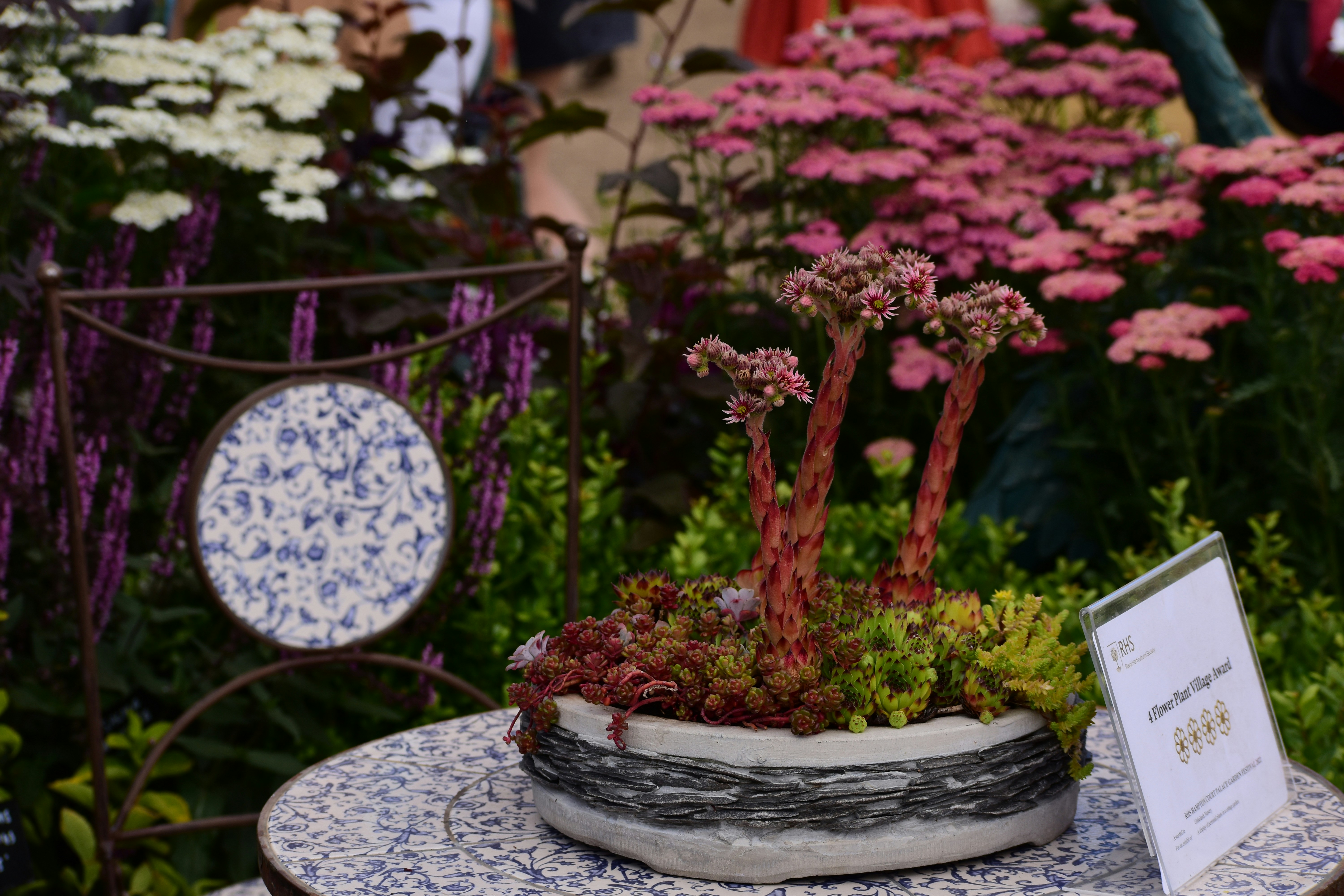 Una exhibición de flores foto – Imagen de Mueble gratuita en Unsplash
