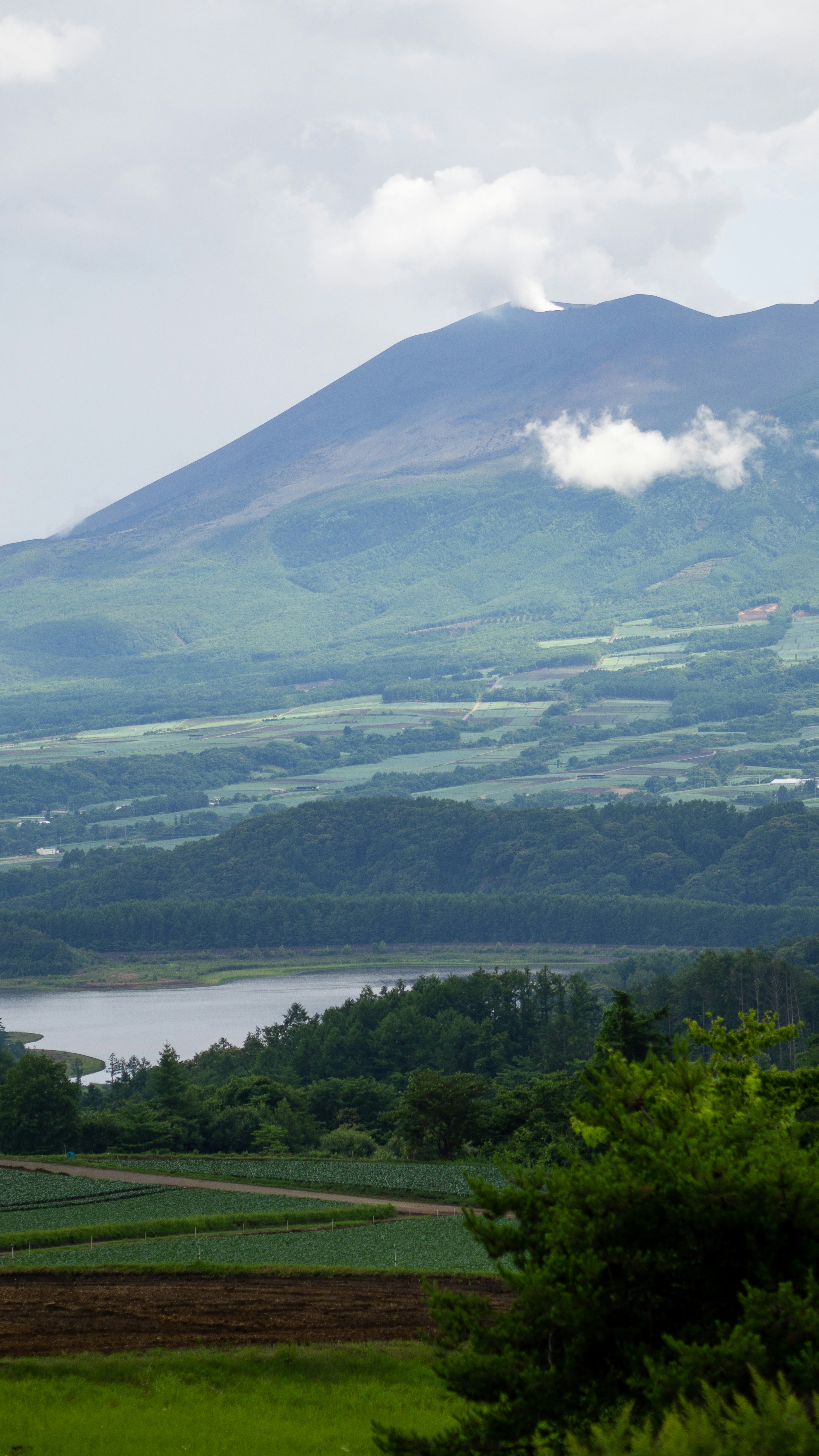 Foto Un gran paisaje verde con un río que lo atraviesa – Imagen Campo ...