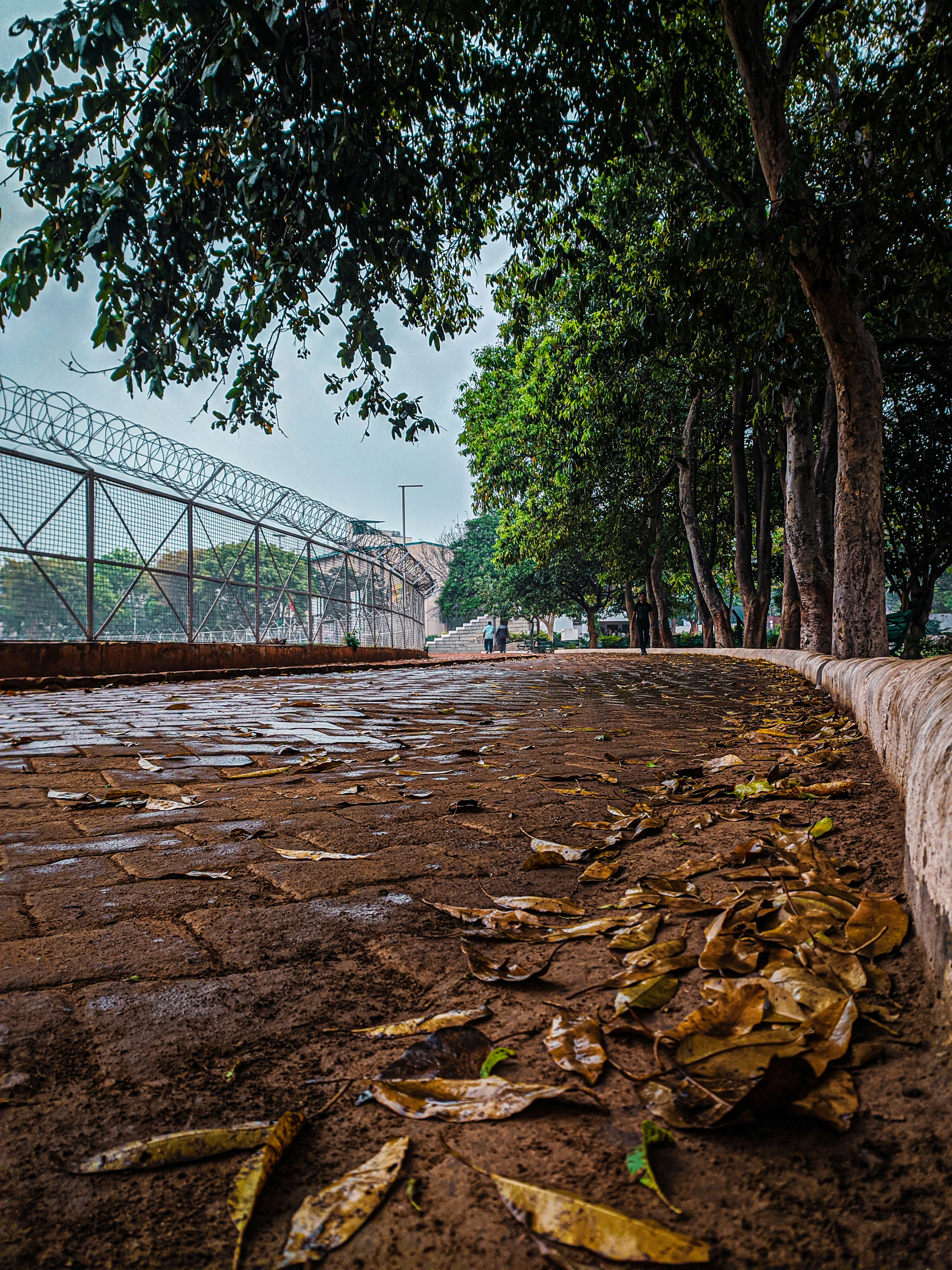 a river with a bridge in the background