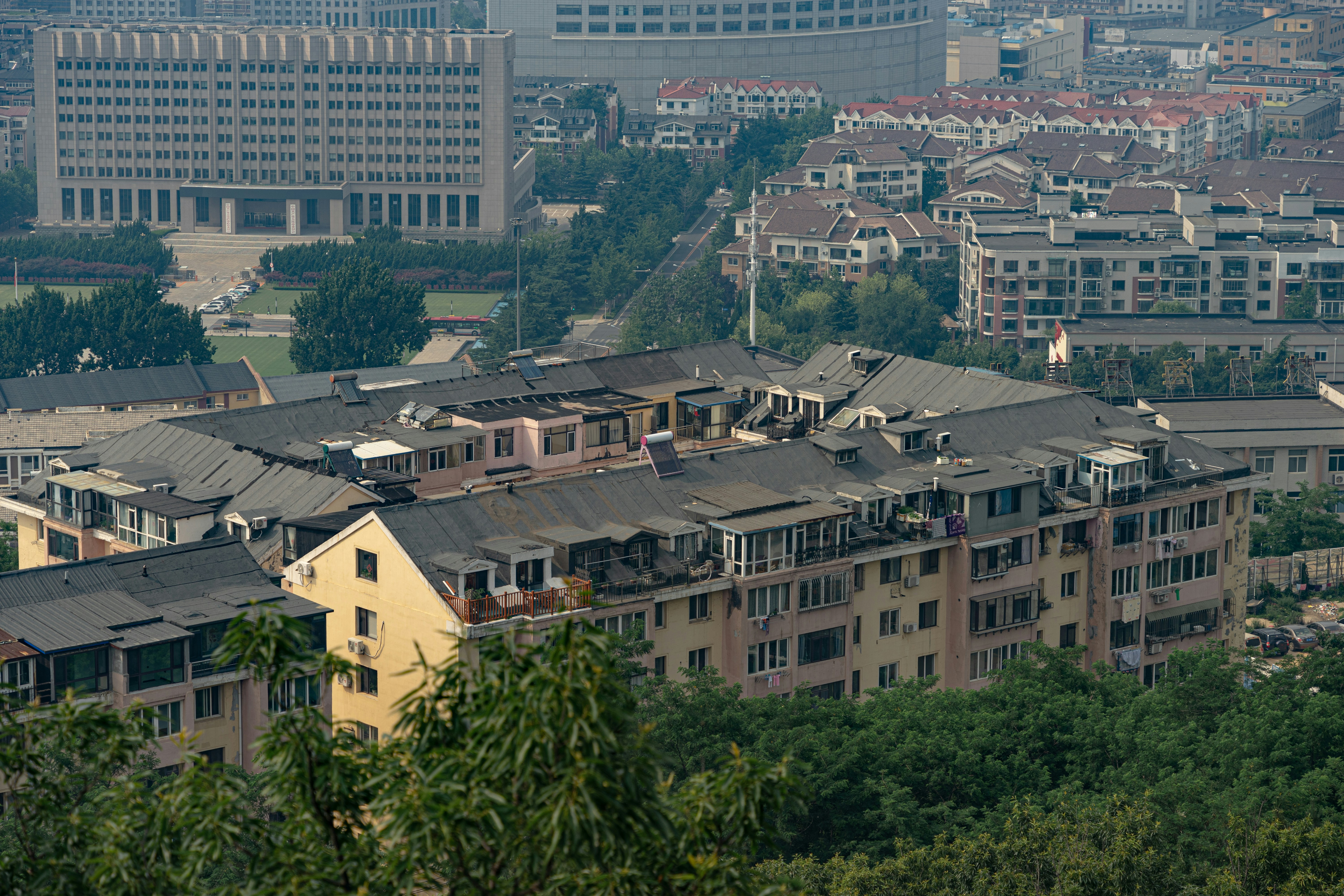 Photo by 杨 震 with Sony Alpha 7 II