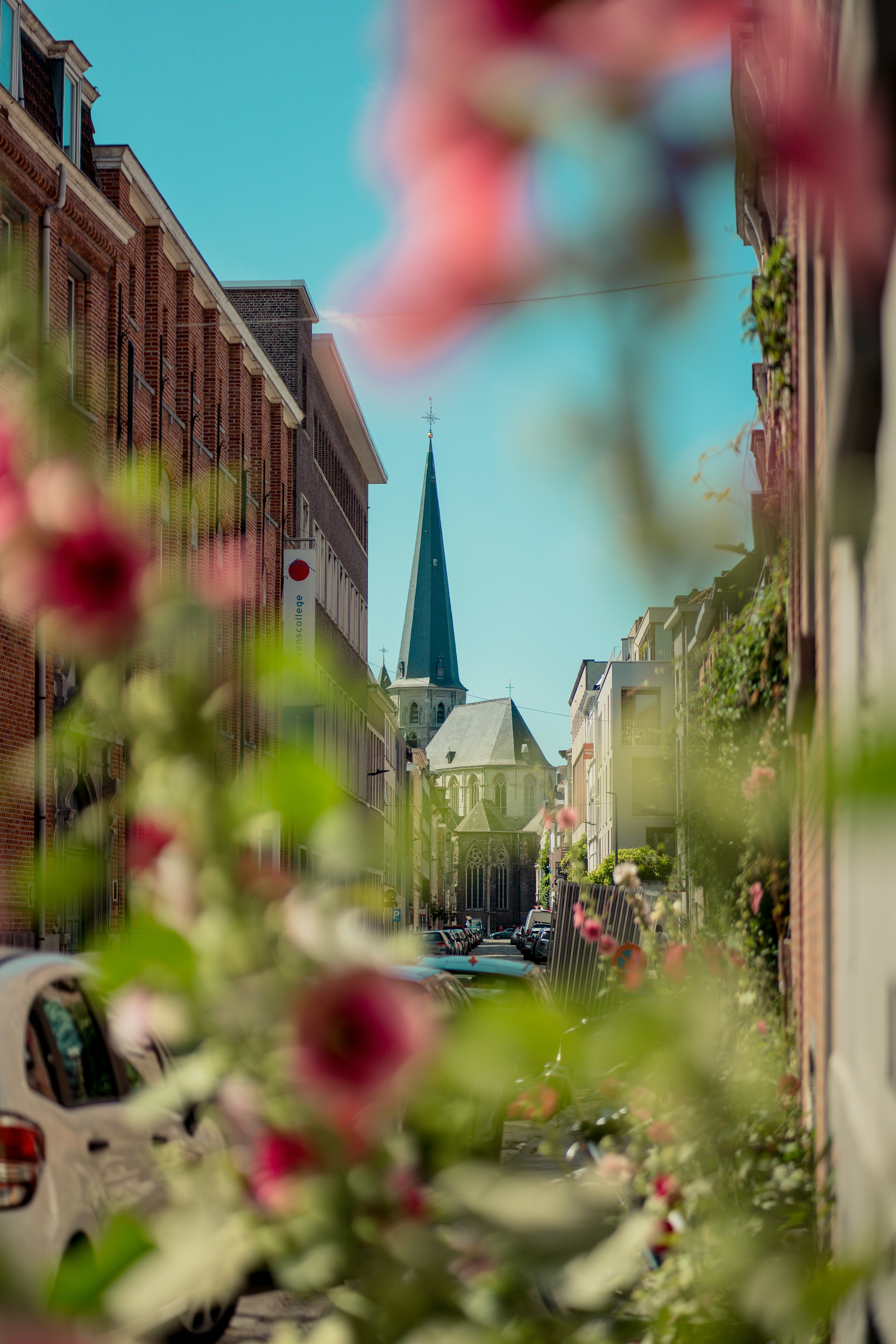 Photo by Hans Ott with Sony Alpha 7 IV