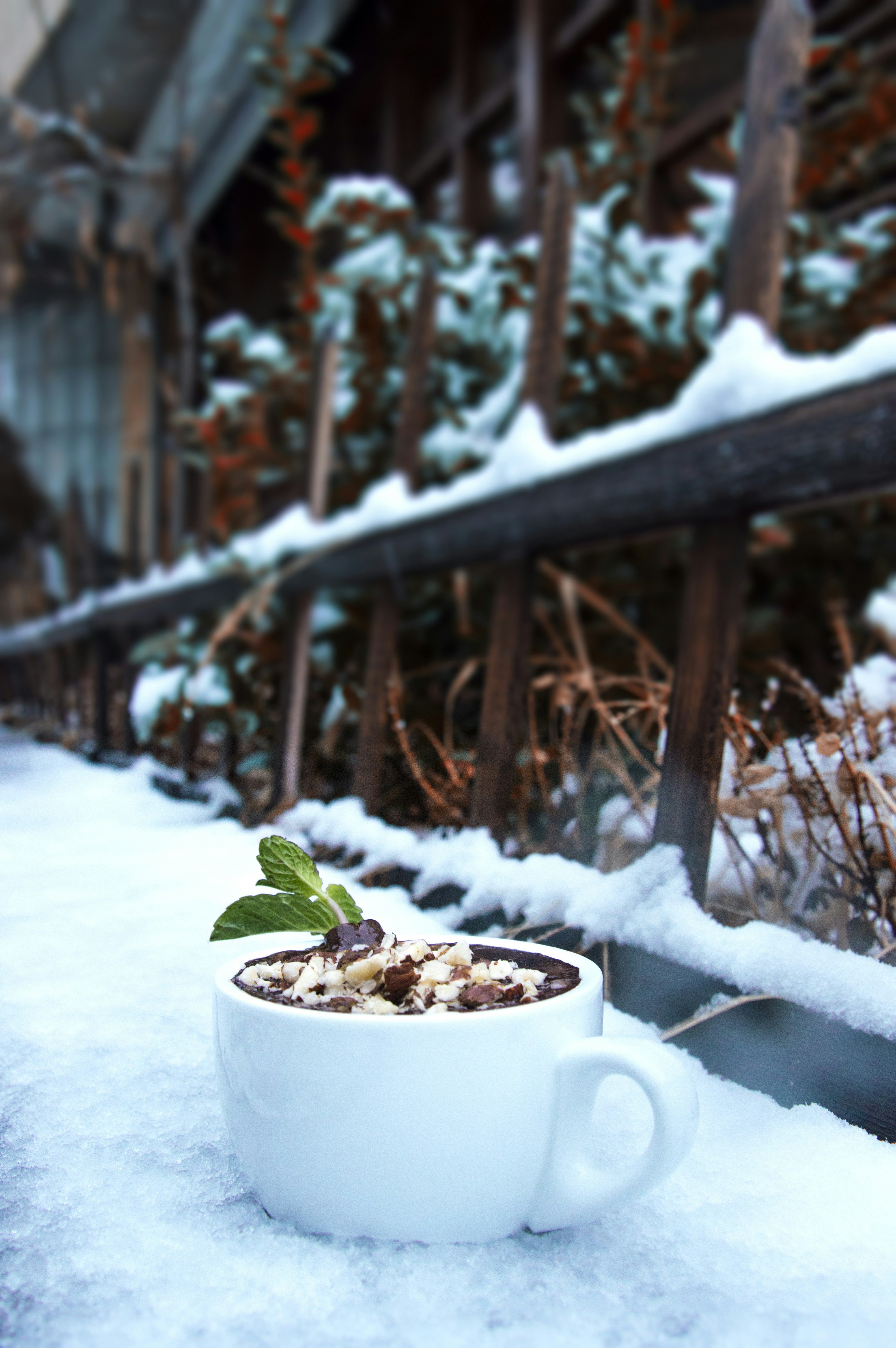 Mint Sprig Over Snow-Cooled Cocoa on a Frosted Rail