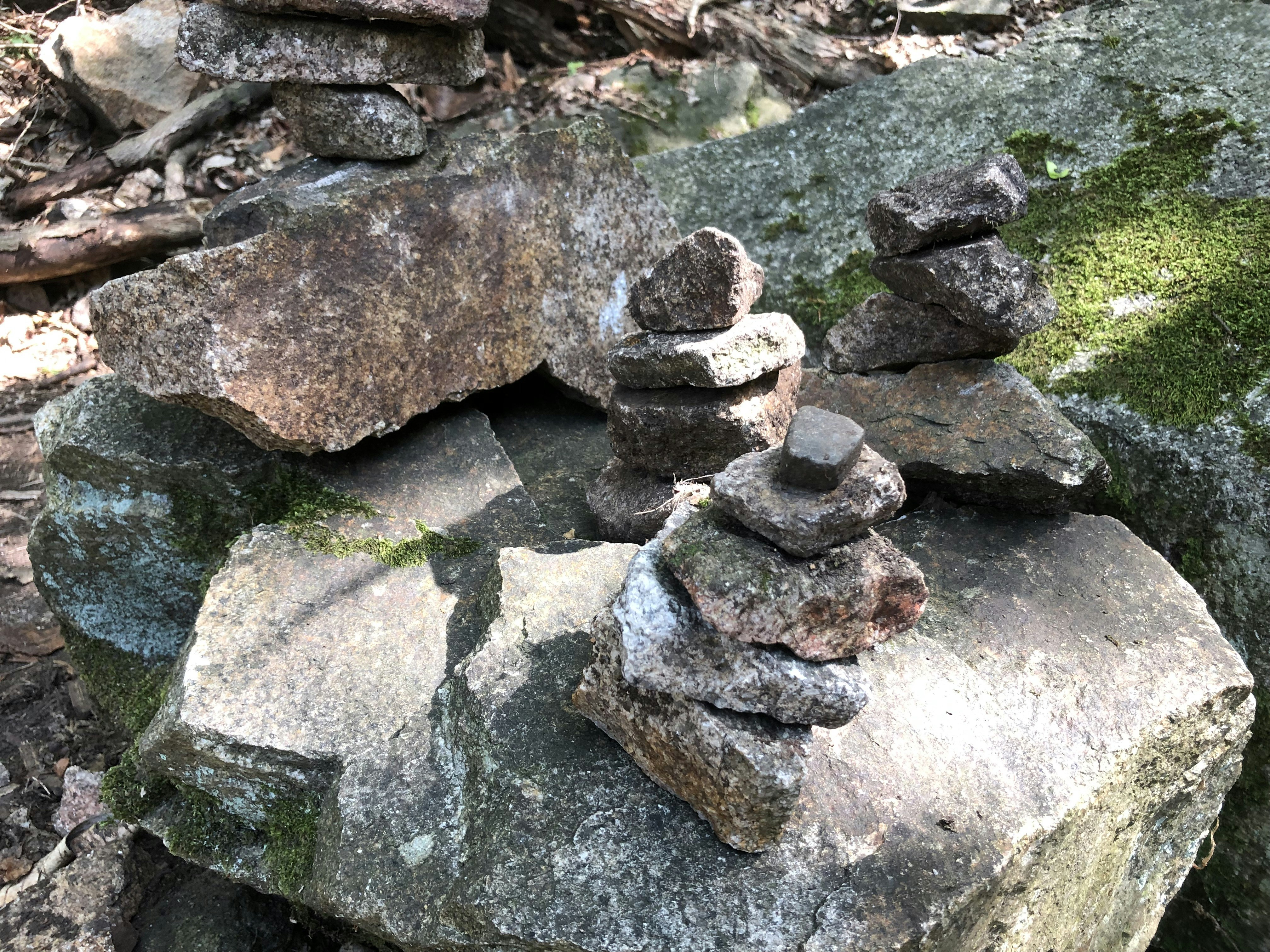 Hiking in the forest you will find these on odd places