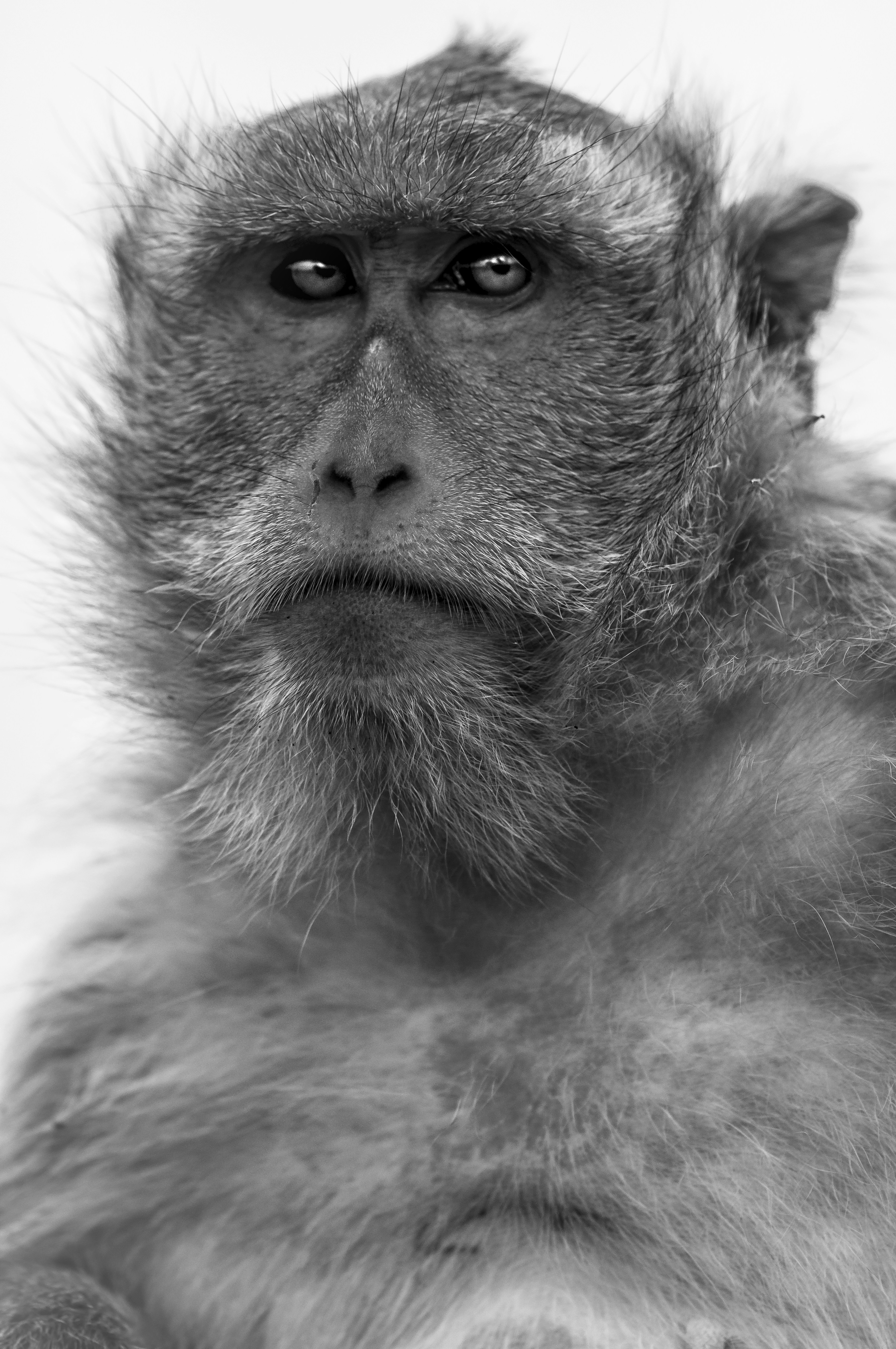 Photo by Thomas Oxford with Nikon D90