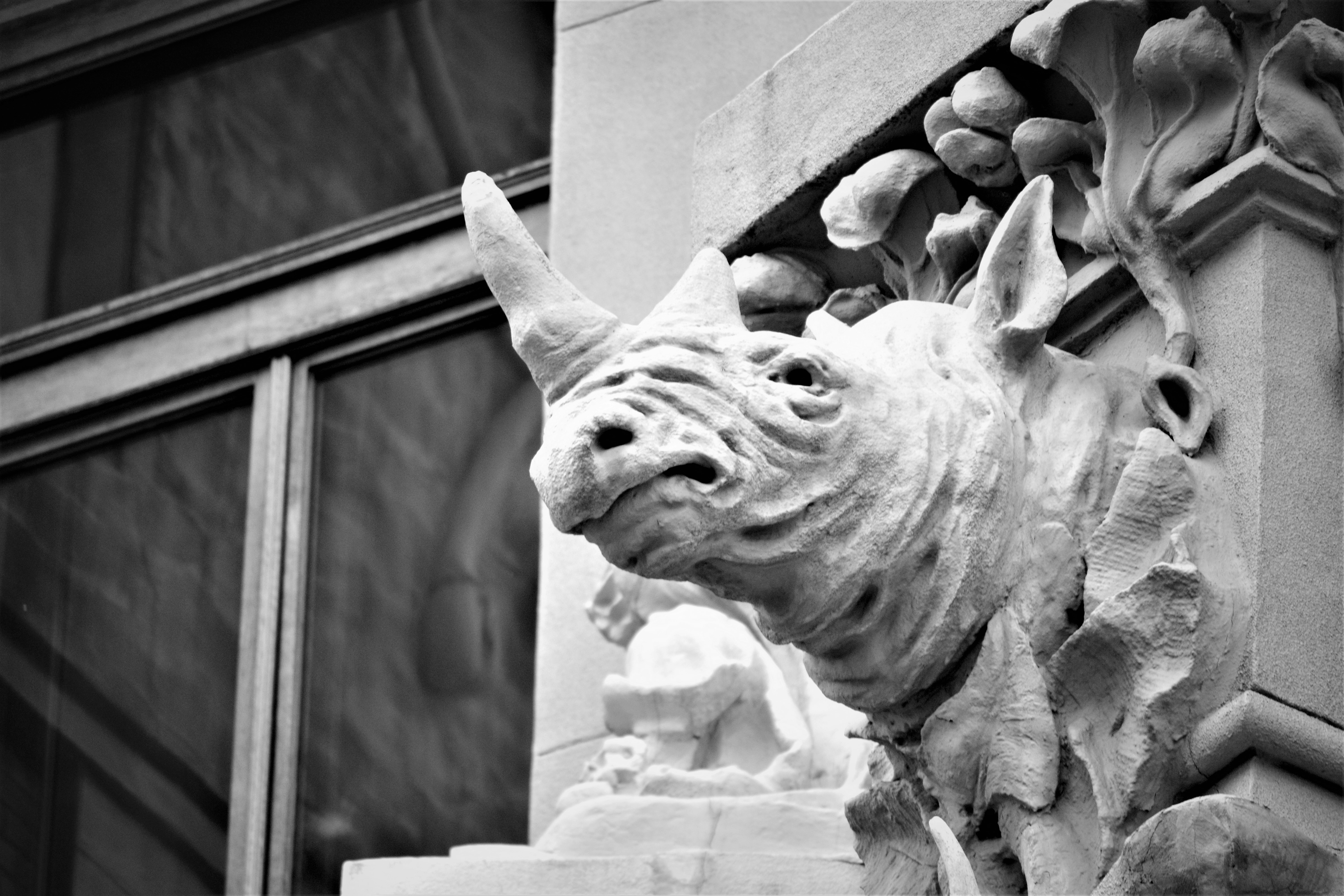 Gargoyle's Gaze: A Stone Sentinel Over the Window