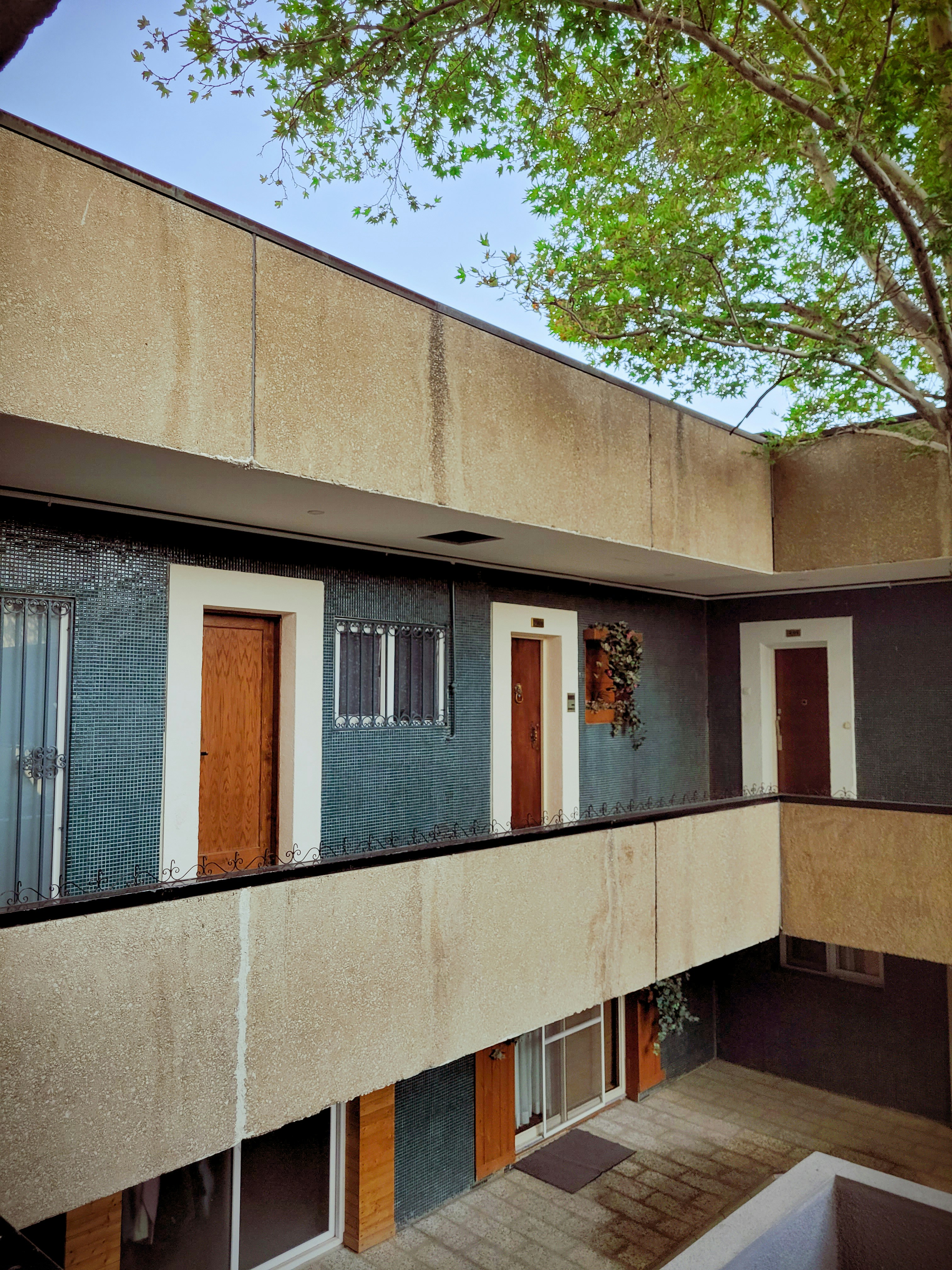 Courtyard Atrium: Windows, Doors and Tree Fronds Paraded in Concrete