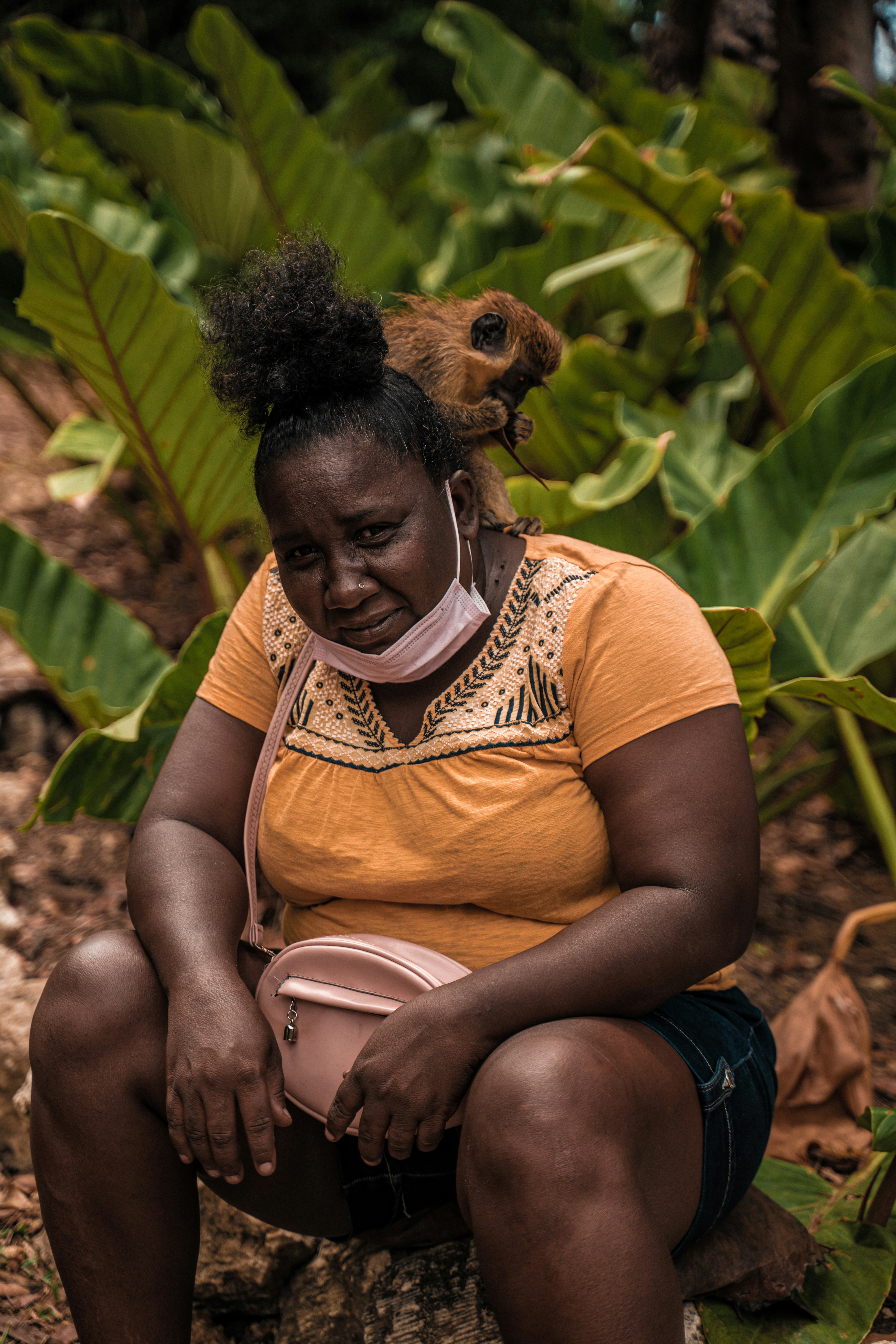Capuchin's Perch: A Quiet Moment Among Banana Leaves