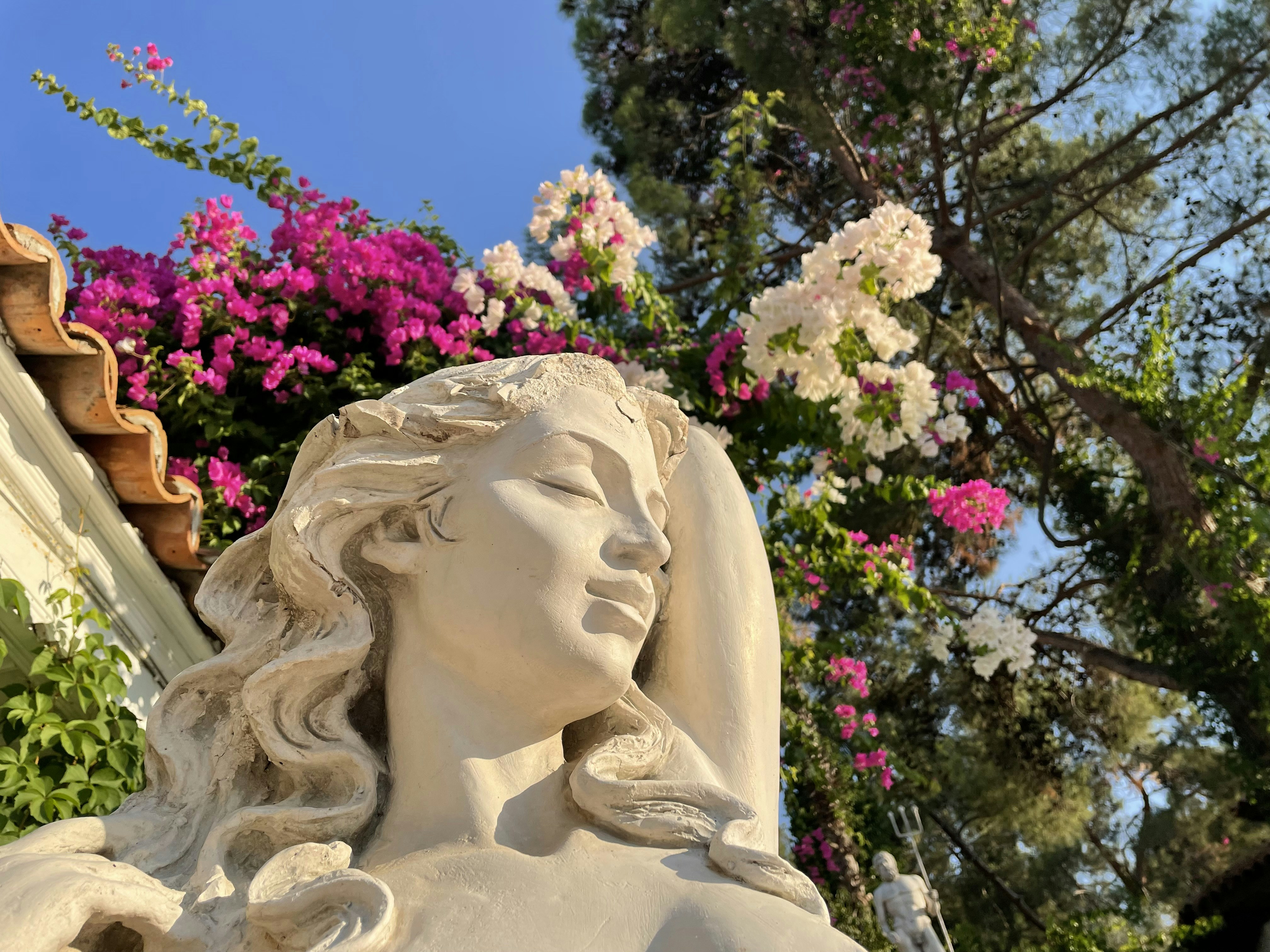 Stone Reverie in Bloom