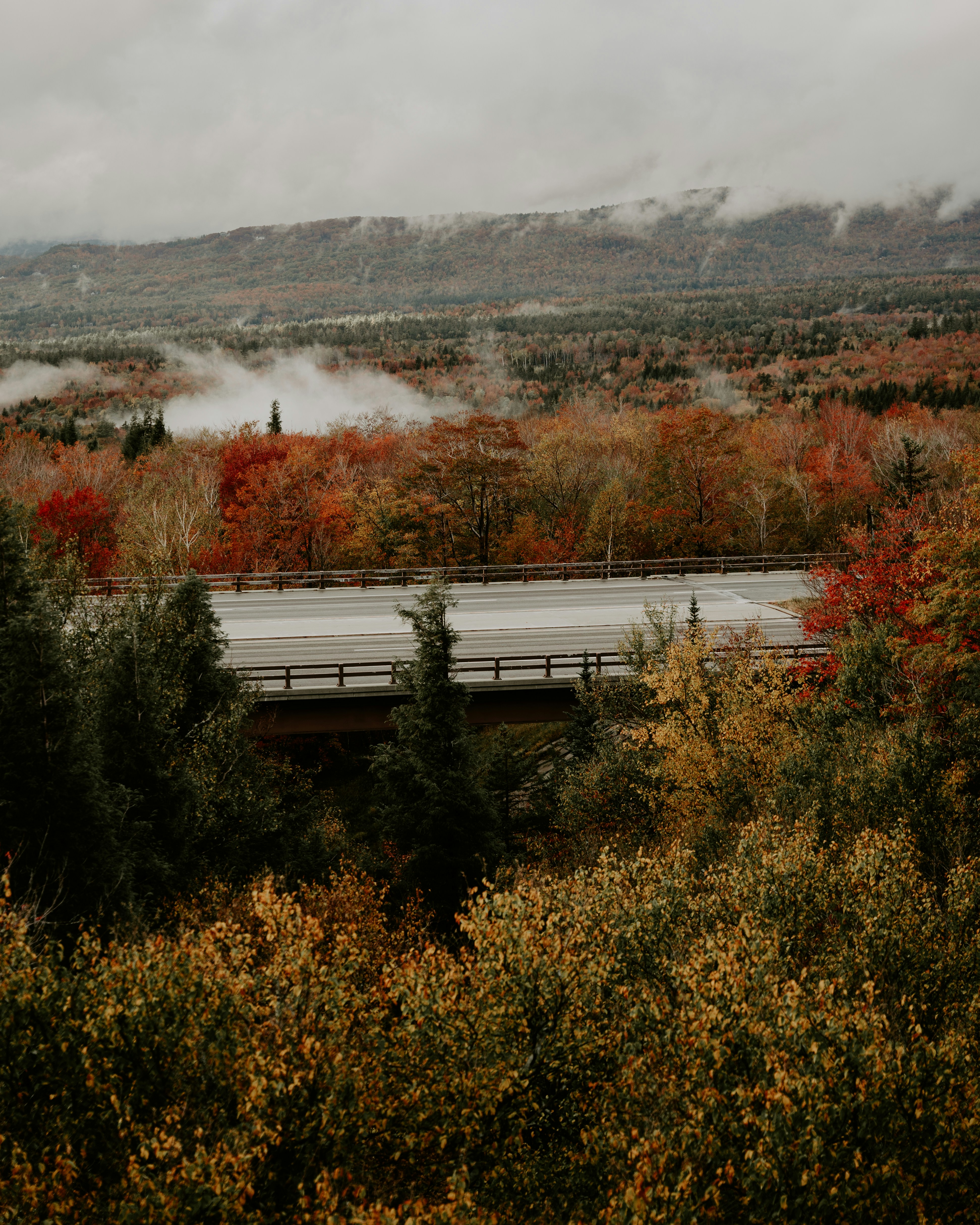 Autumn Mist Over the Winding Valley