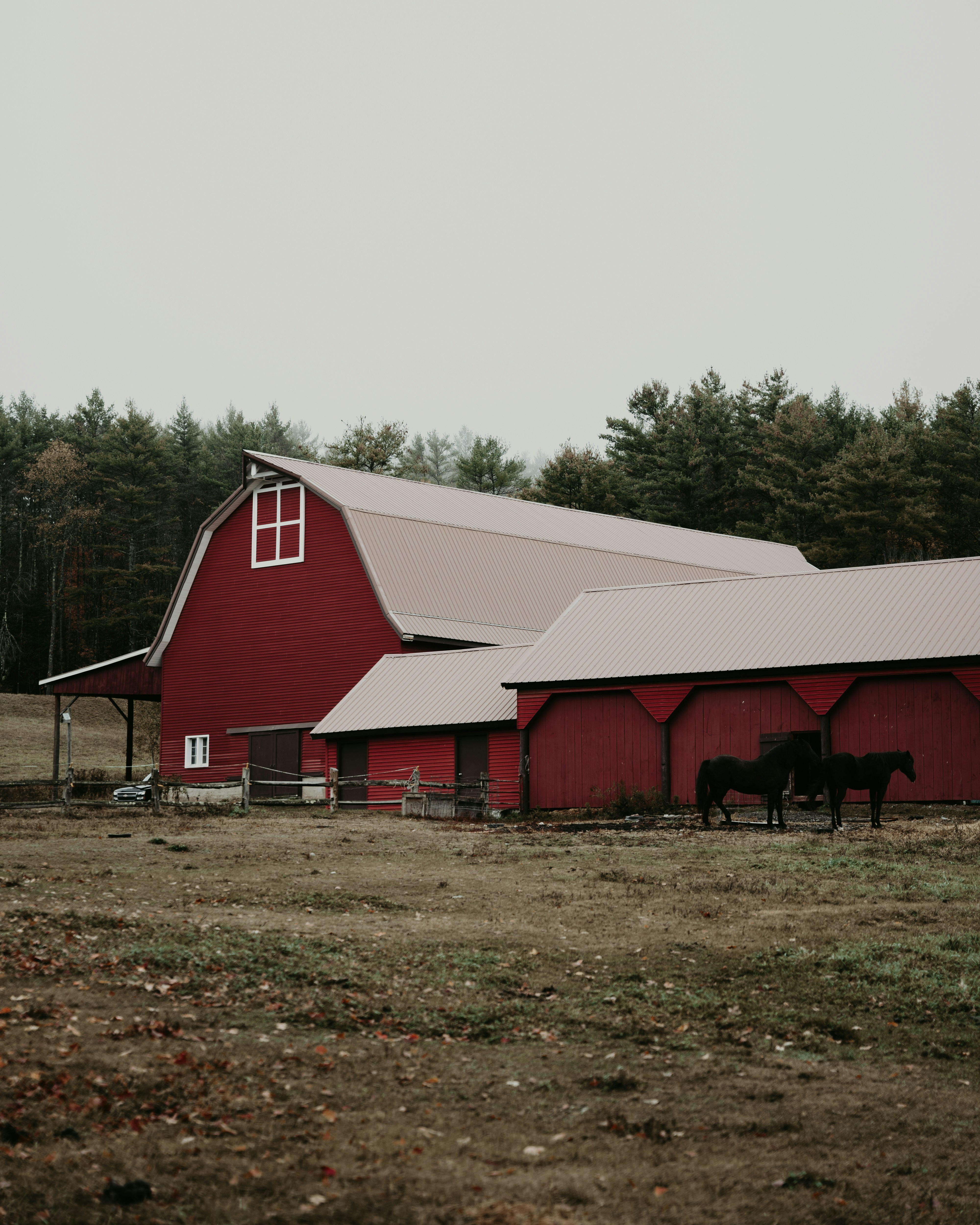 Red Barn at Dusk: Horses in a Quiet Farmyard