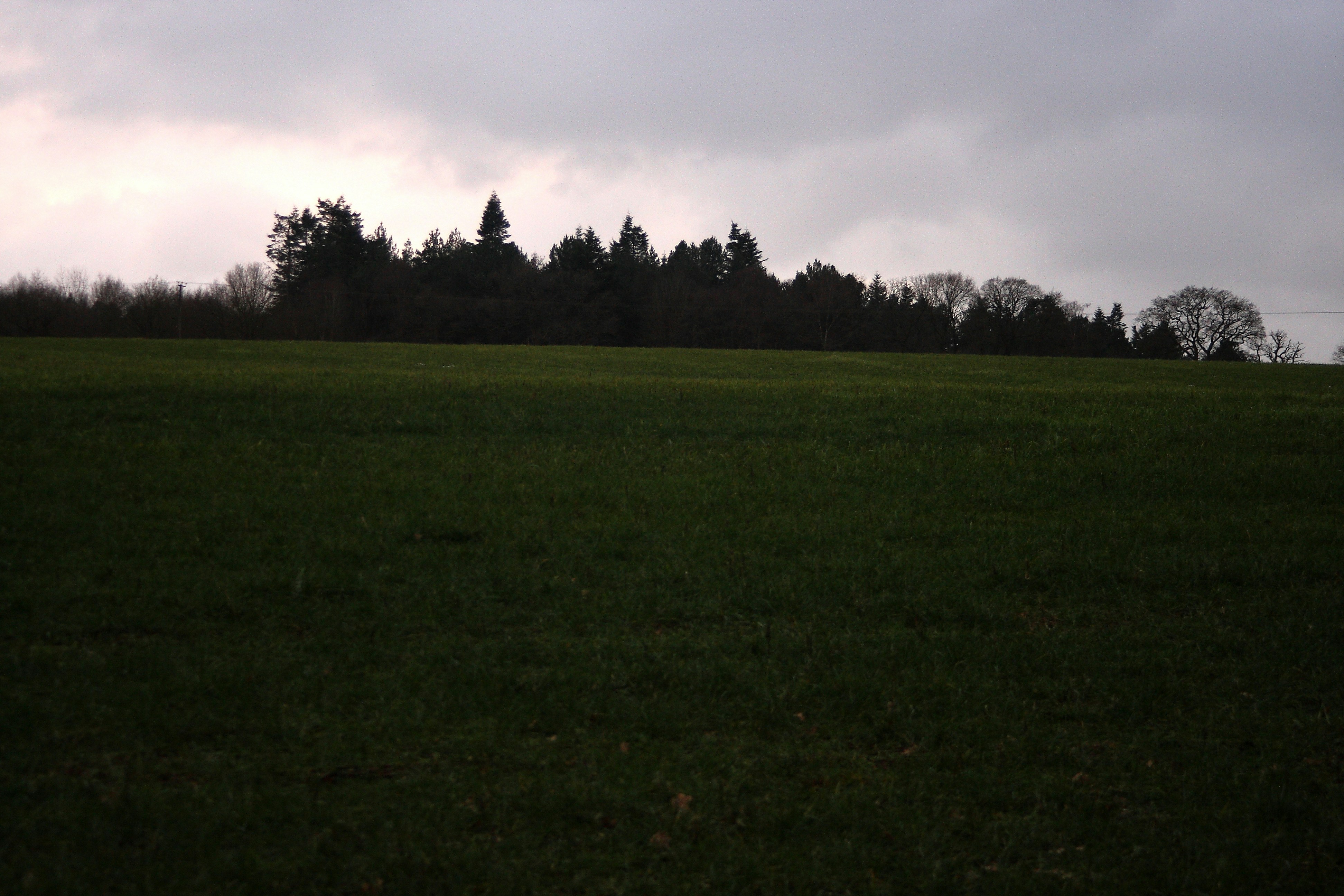 Lush green field under a moody sky, with a silhouette of trees lining the horizon. The scene evokes a tranquil yet somber atmosphere.