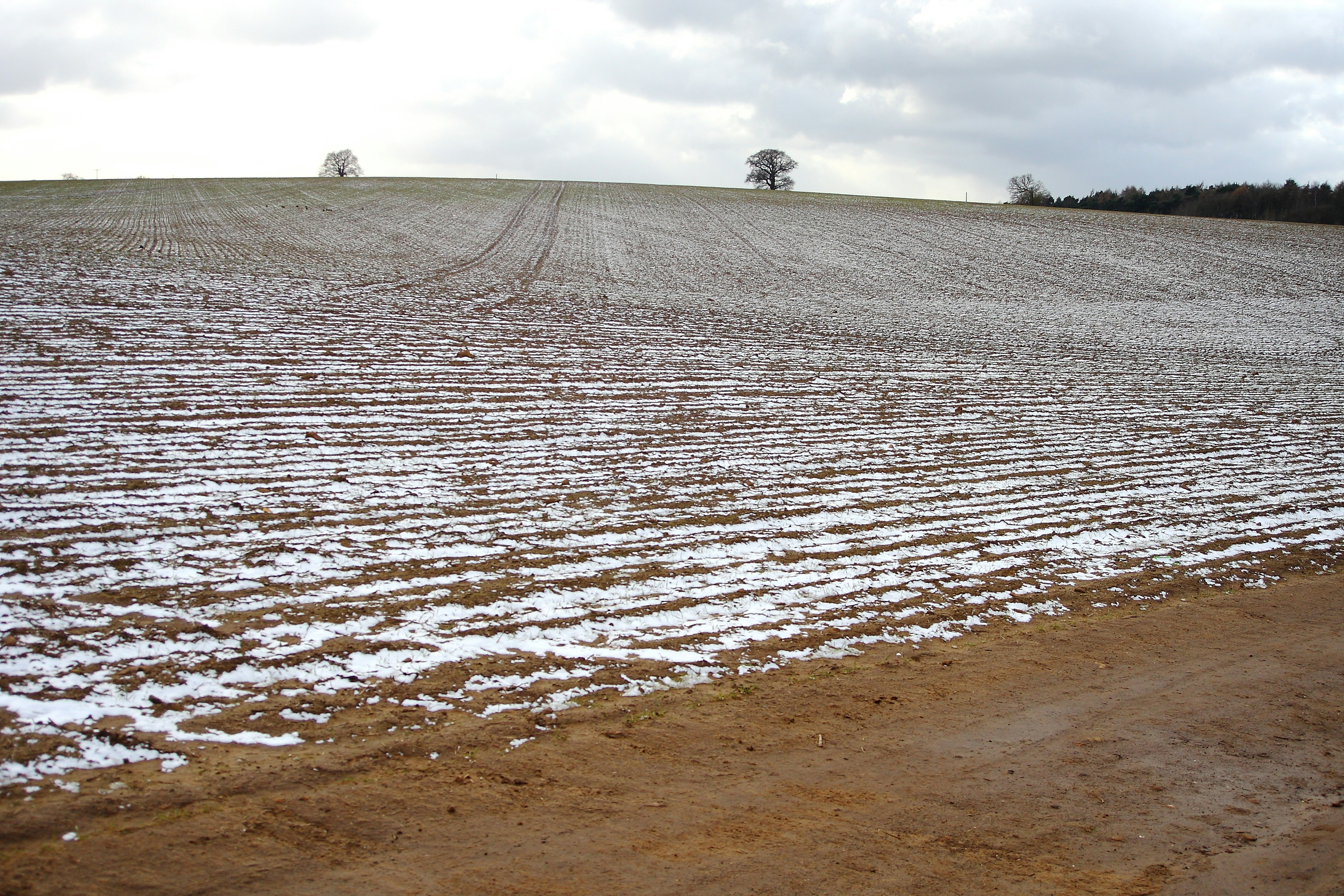A snow-dusted field stretches across the horizon, with subtle tire tracks leading through the earthy ground, framed by distant trees under a cloudy sky.