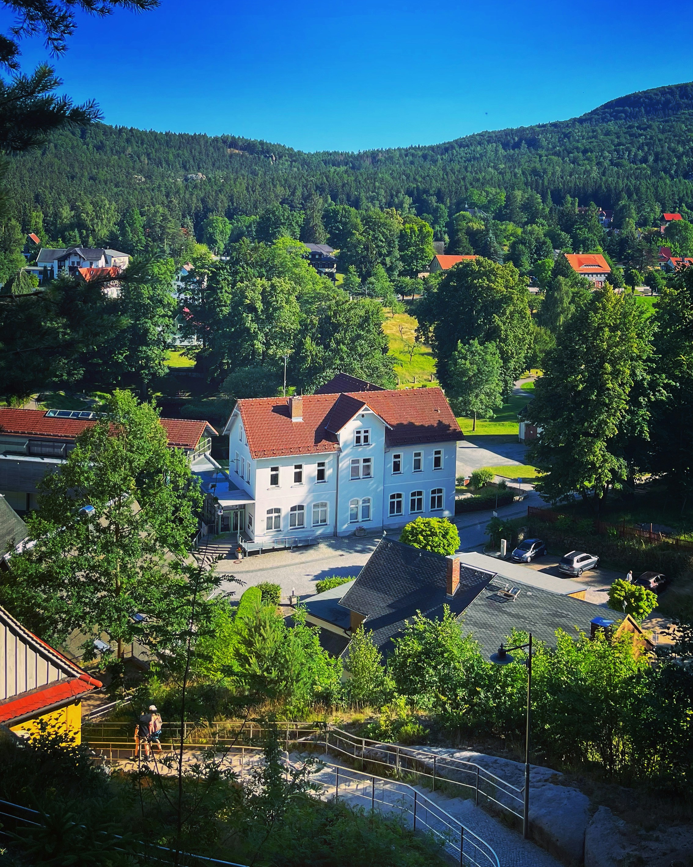 White House in the centre of a forest