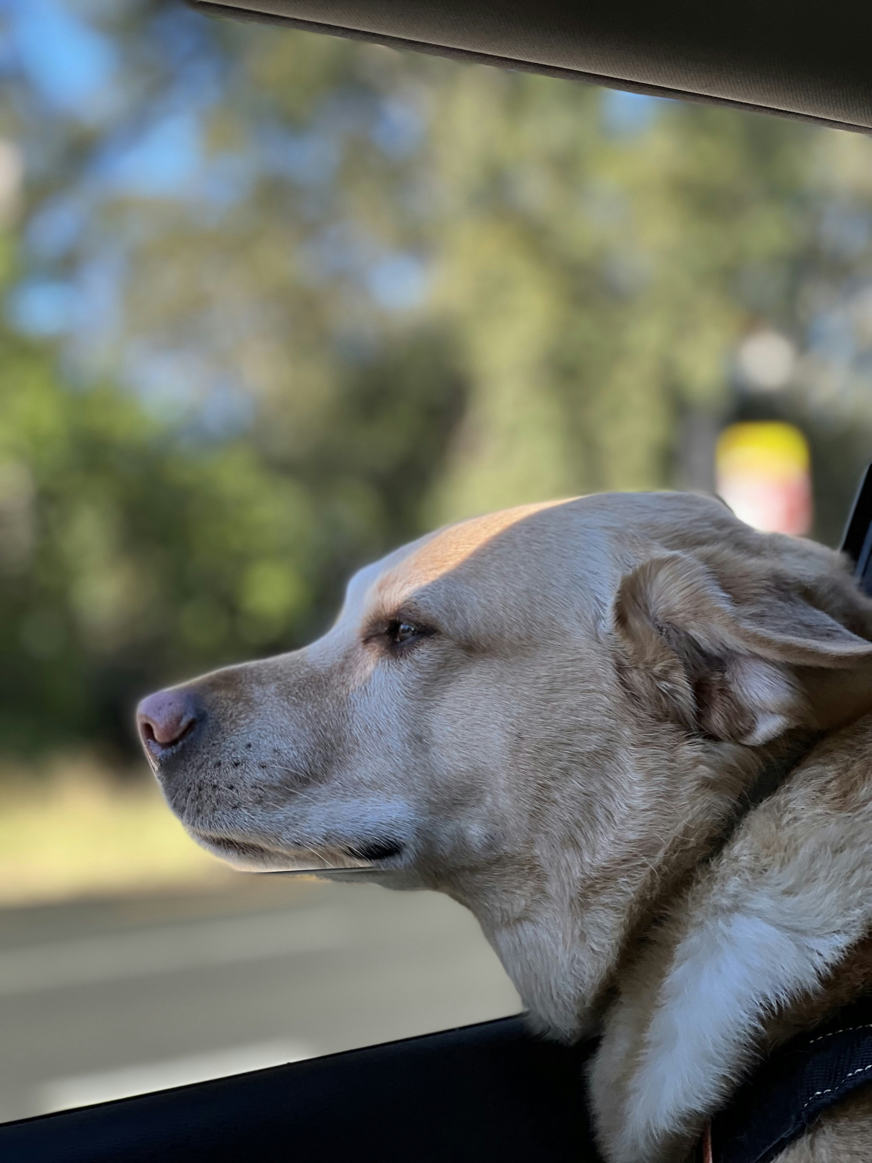 Sample photo from Apple iPhone 13 Pro Max
