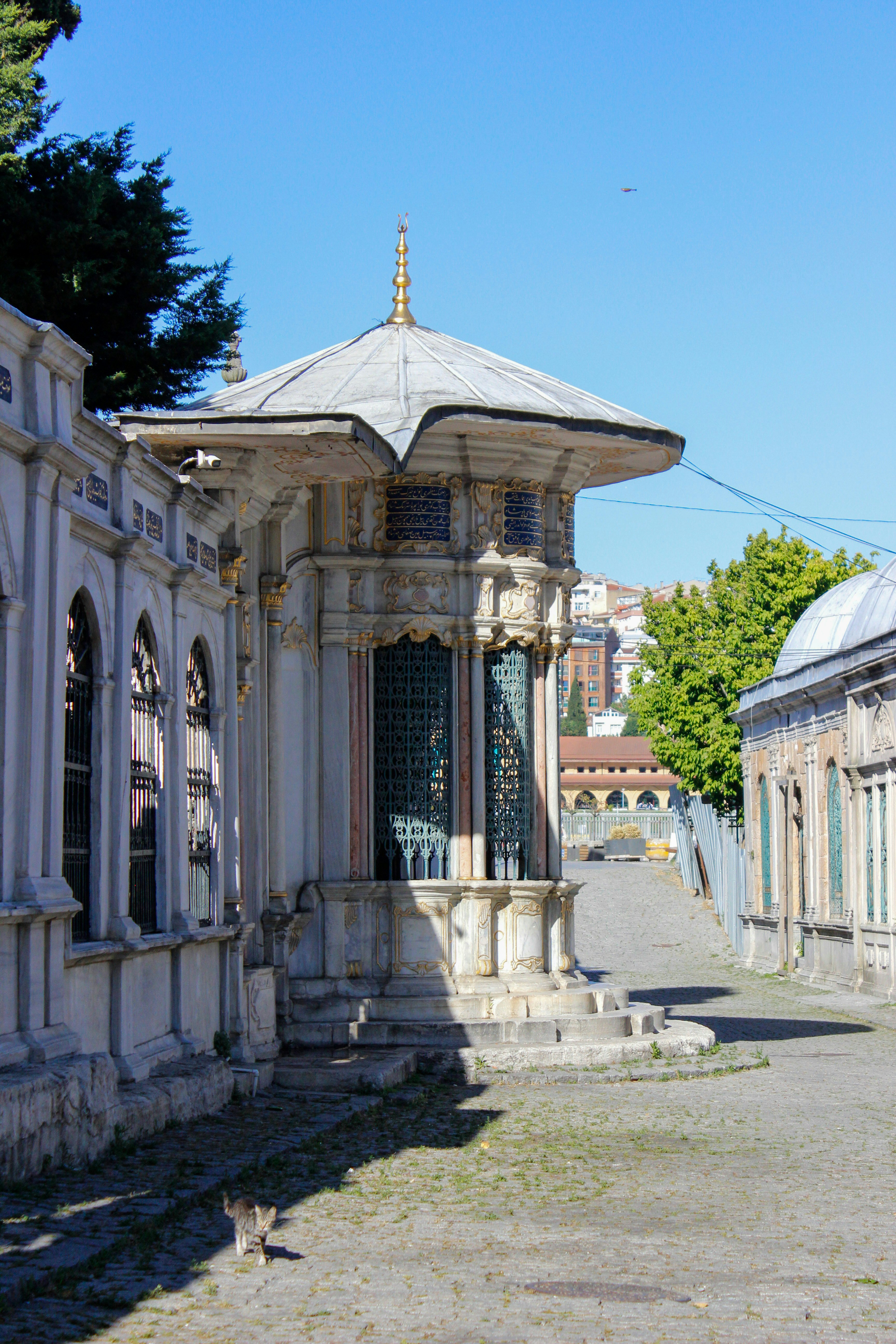 Photo by Muhammed Zahid Bulut with Canon EOS 600D