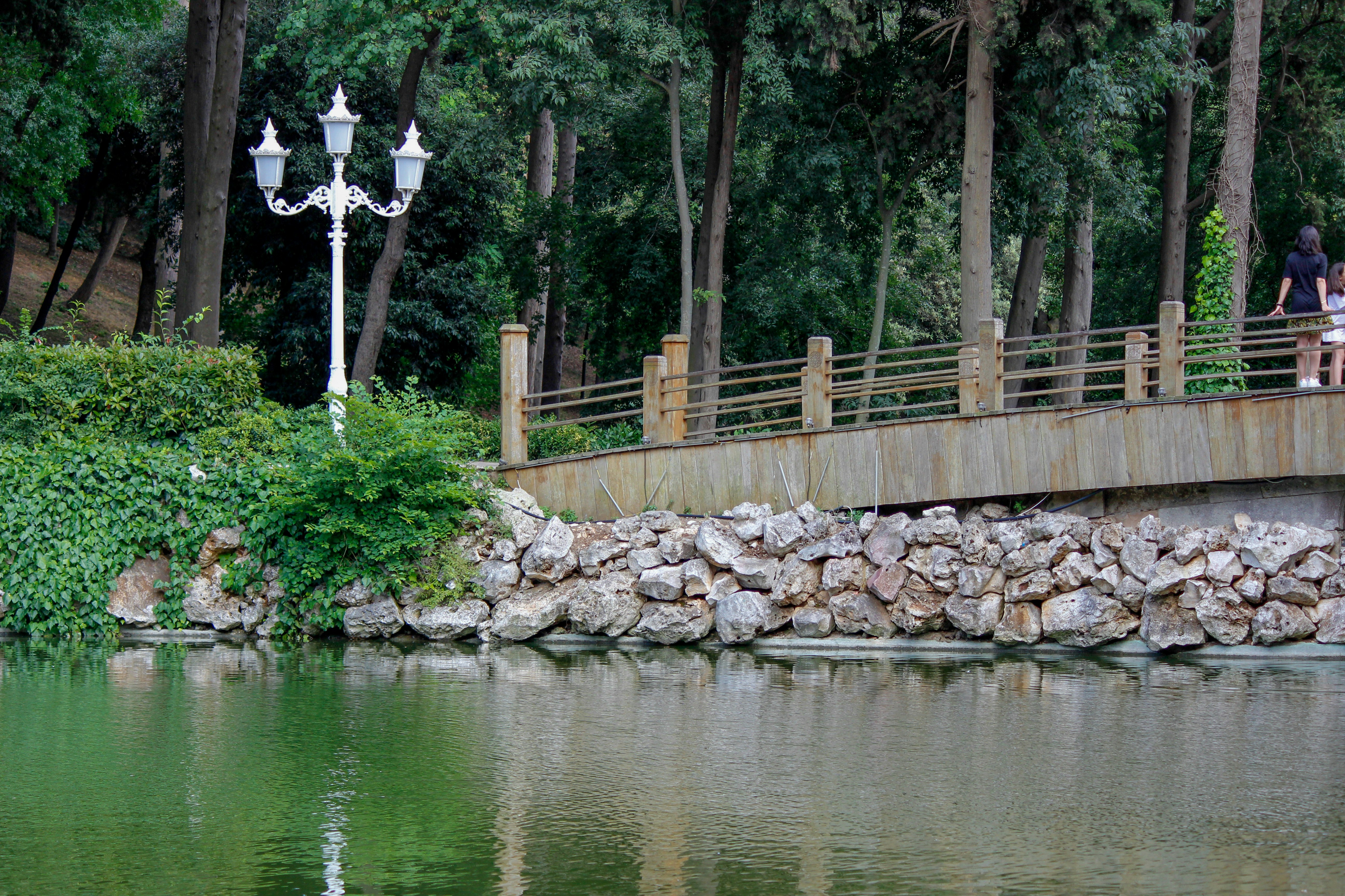 Ornate Lantern by a Tranquil Stone Bridge Over a Green Pond