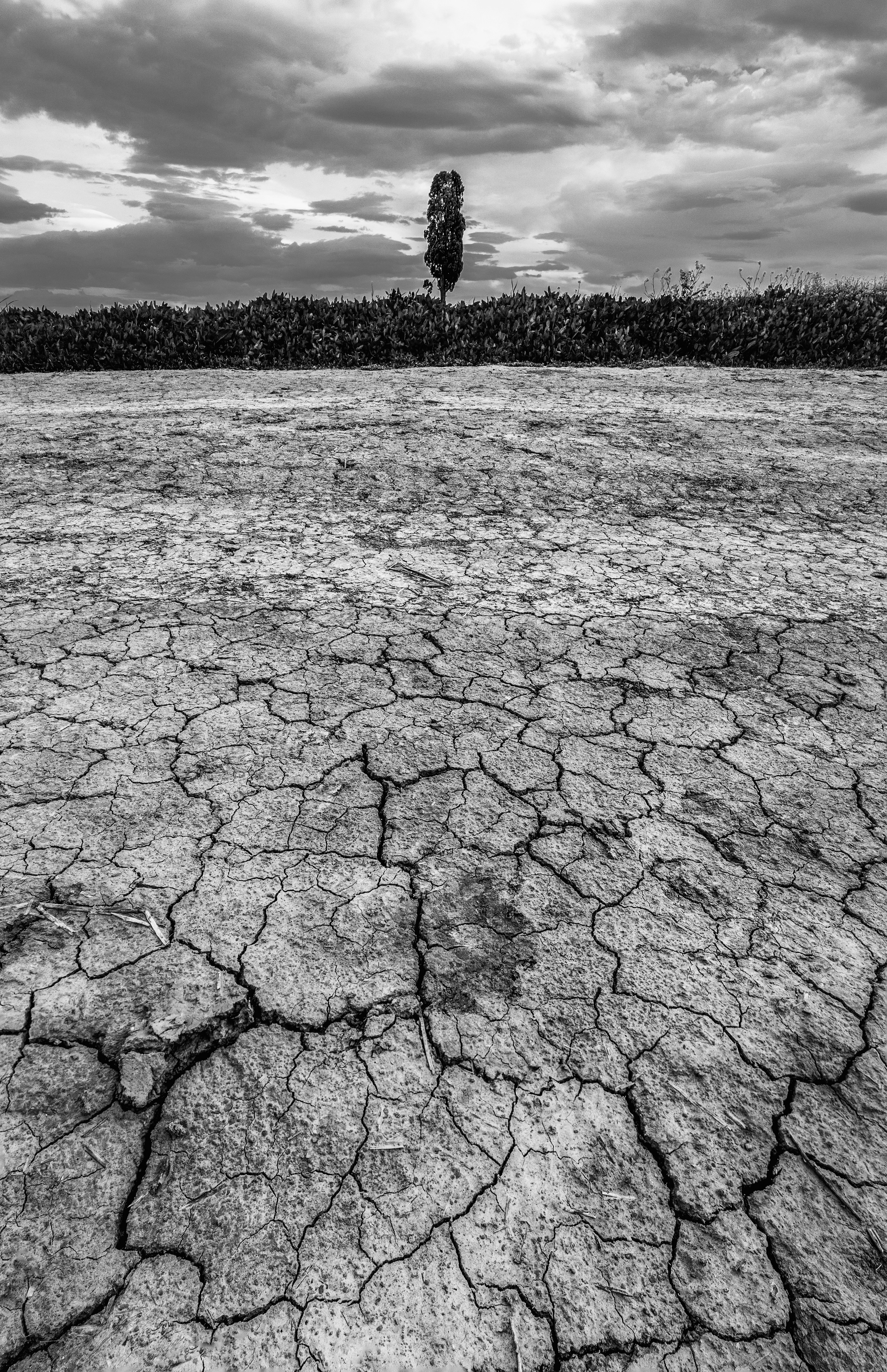 A large dry landscape photo – Free Tuscany Image on Unsplash