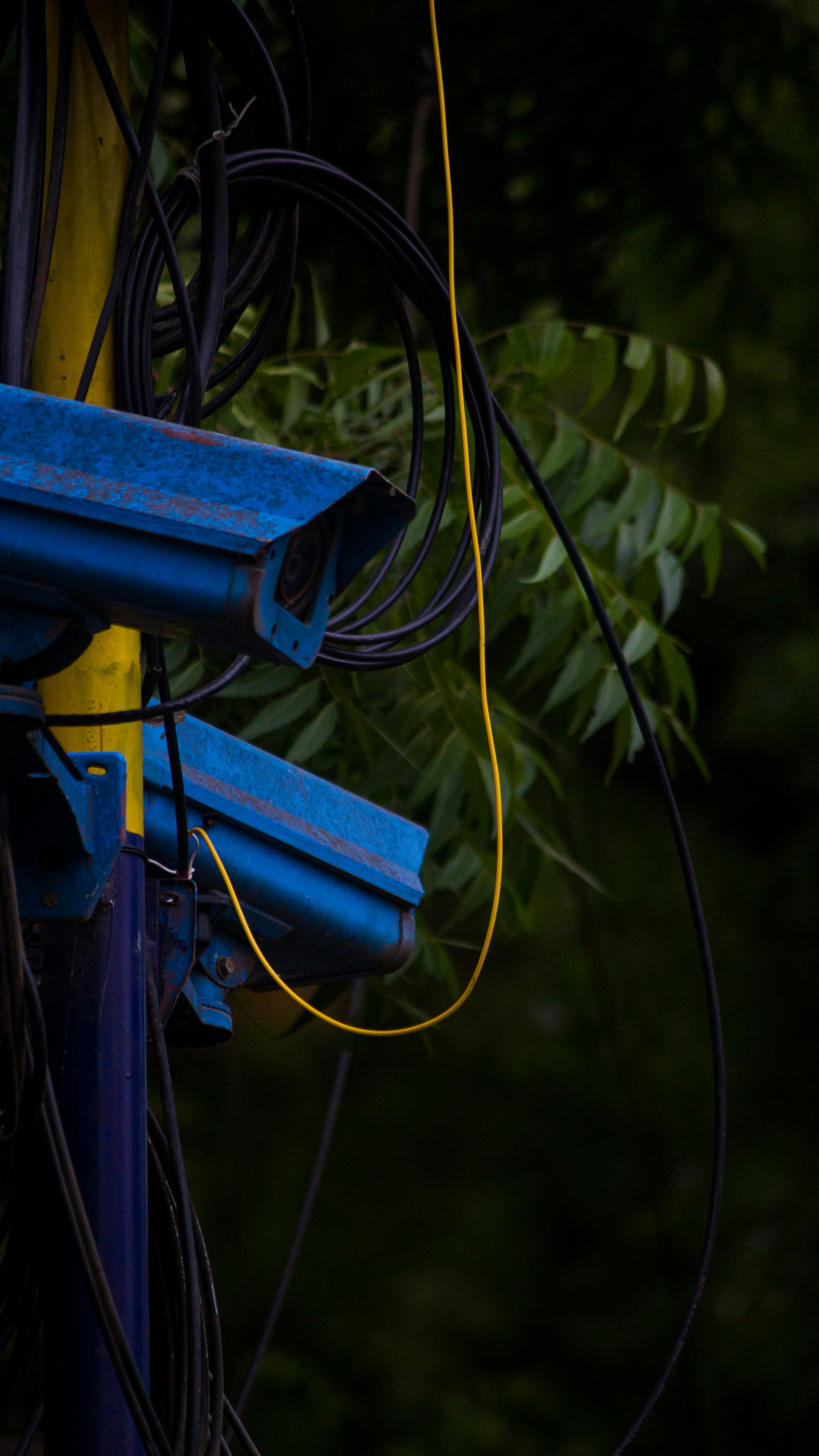 a blue and yellow cable