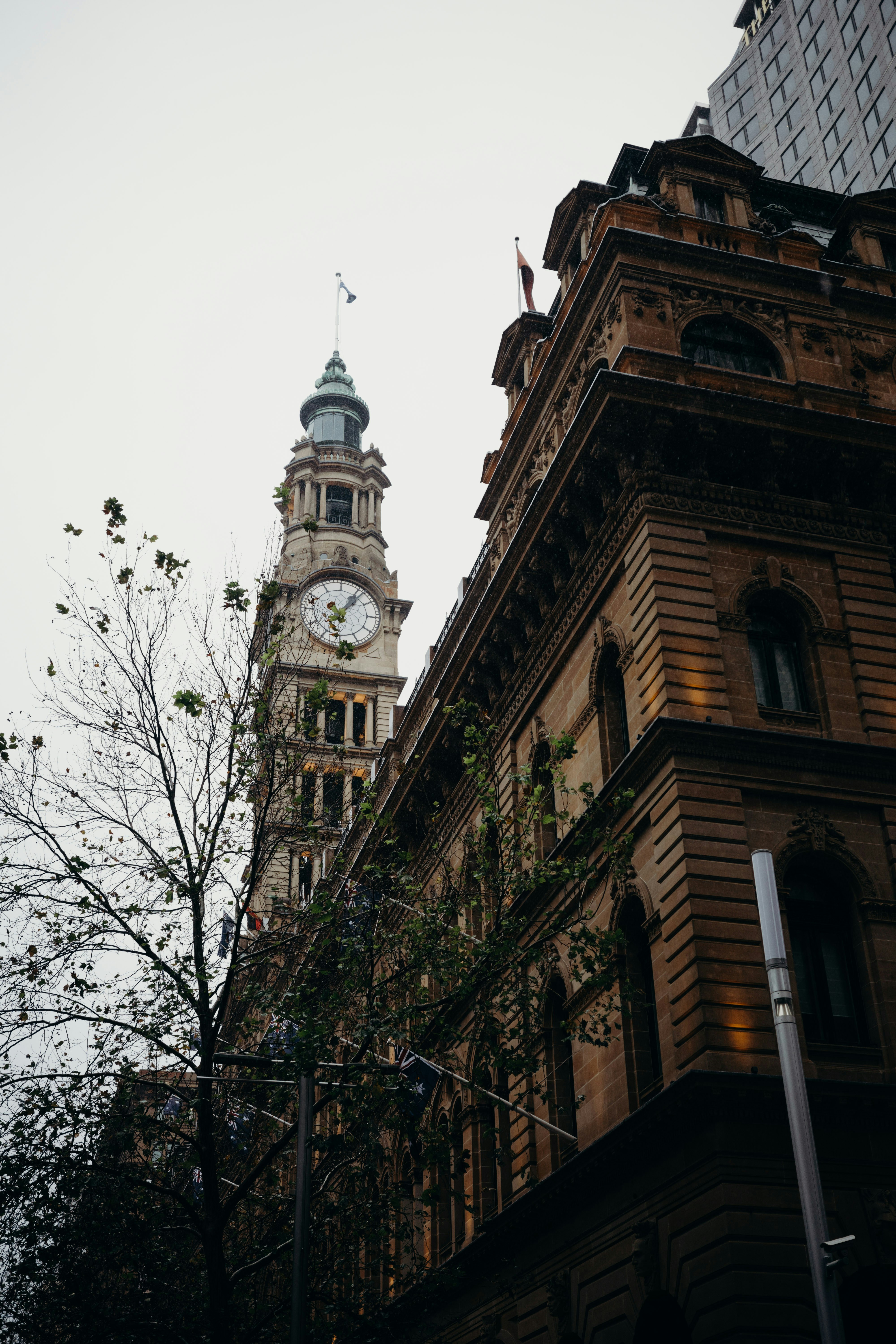 Timeless Elegance Amidst Urban Shadows