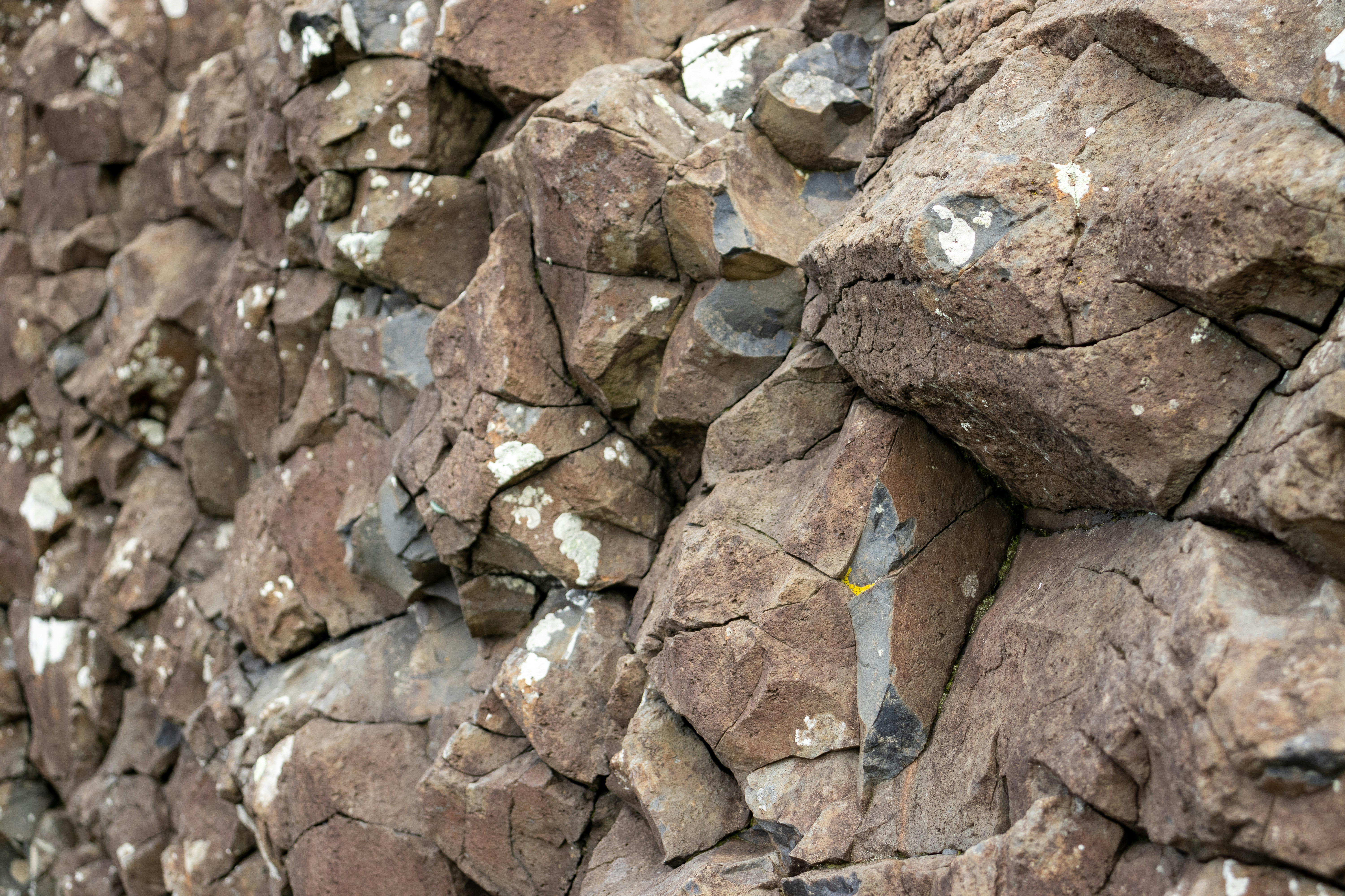 a close-up of some rocks