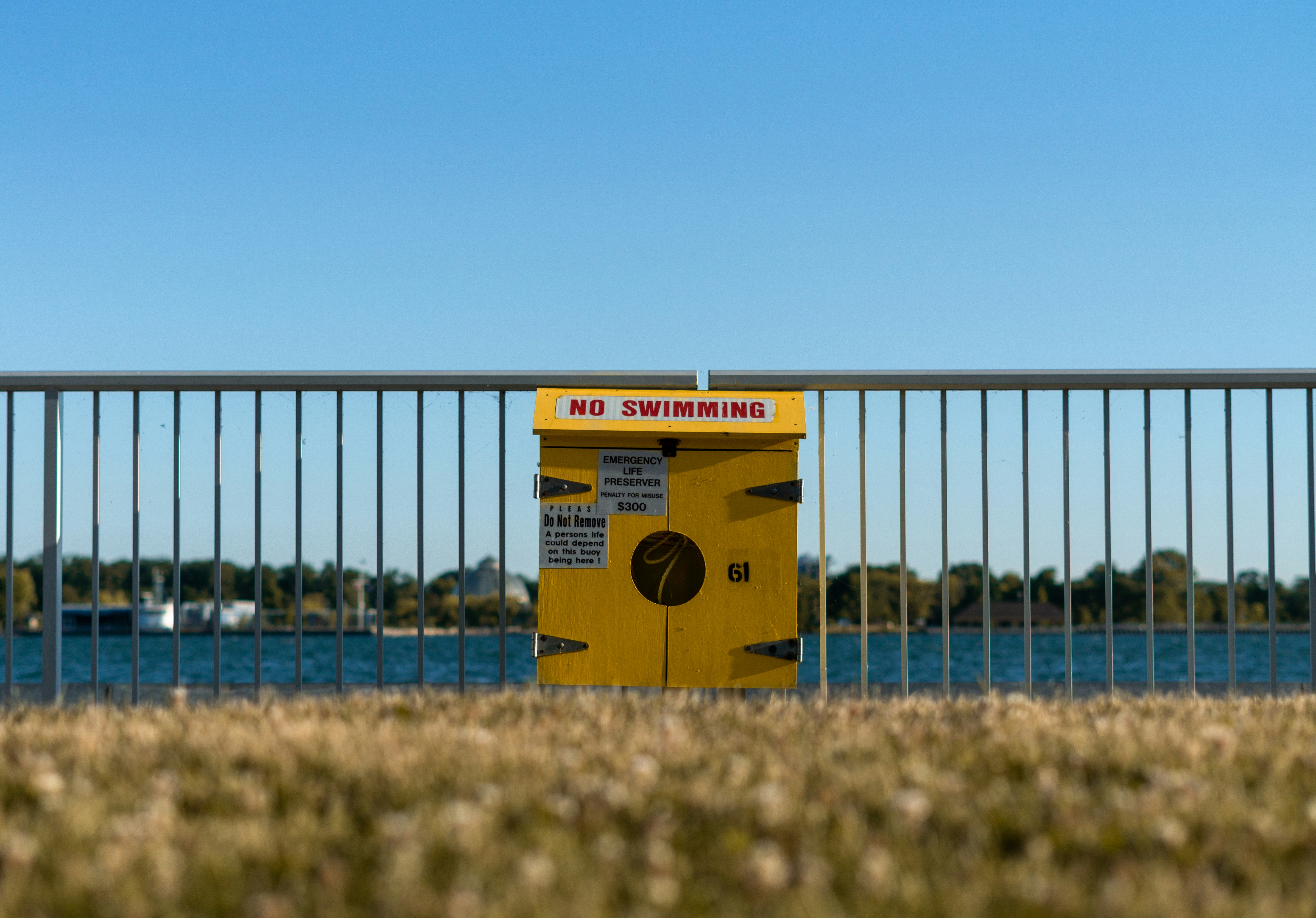 Bright yellow 'No Swimming' sign stands against a serene lake backdrop, framed by a white railing and lush grass.