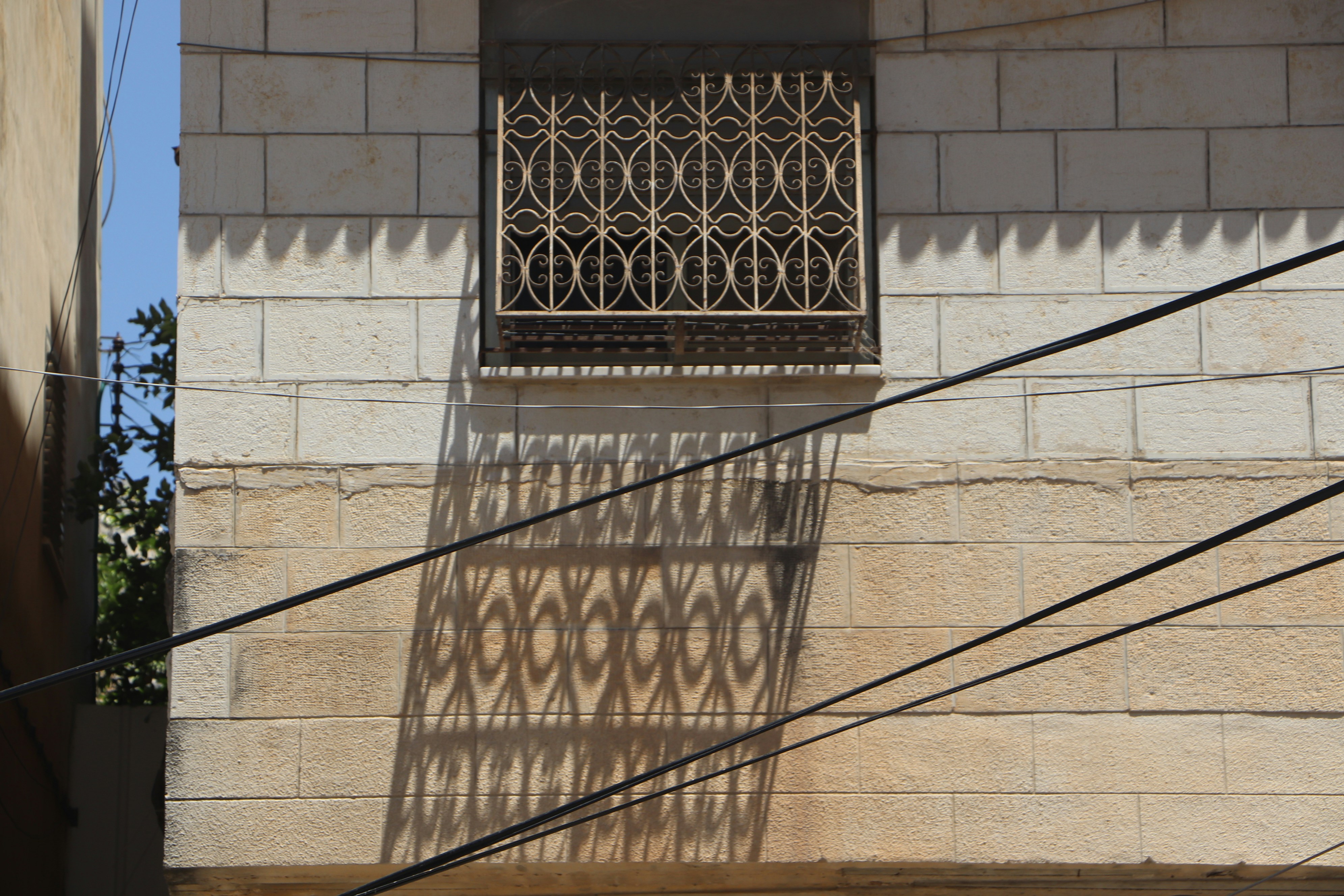 Photo by Vision chamber with Canon EOS 800D