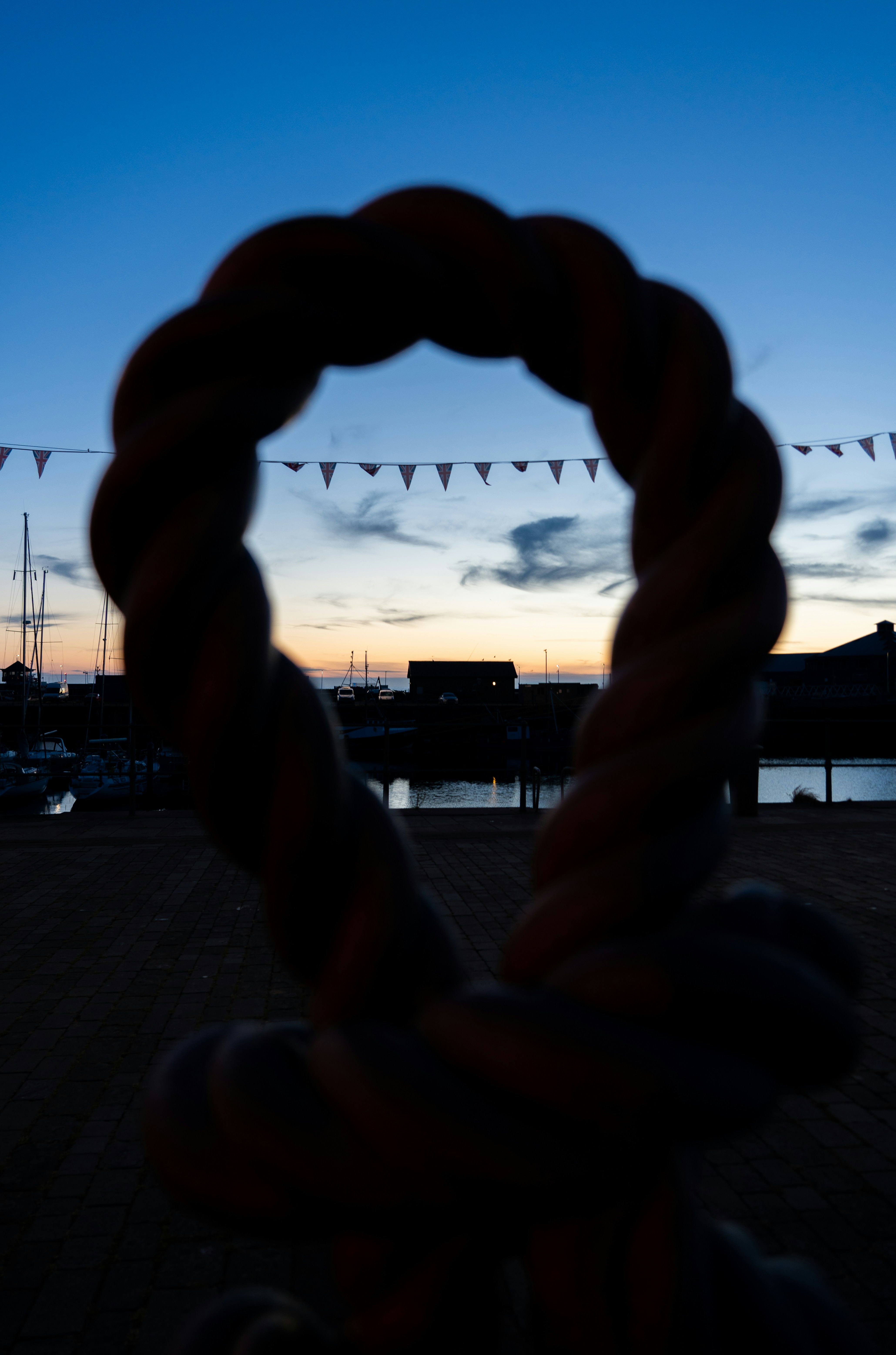 Silhouetted Ring: a nautical harbor framed by a foreground rope at blue-hour