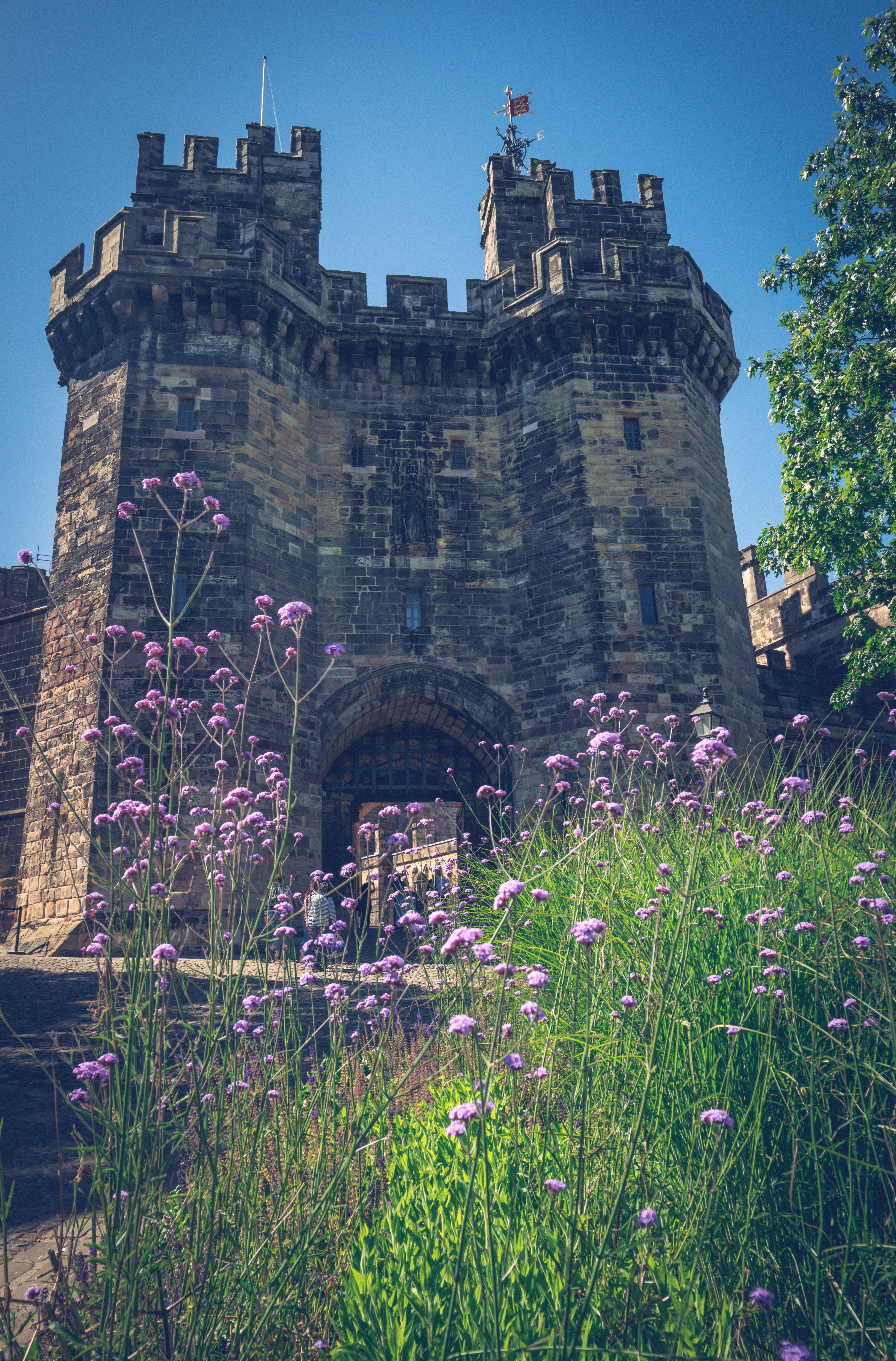 Bloom-Framed Castle Gate: Purple Wildflowers Meet a Turreted Keep