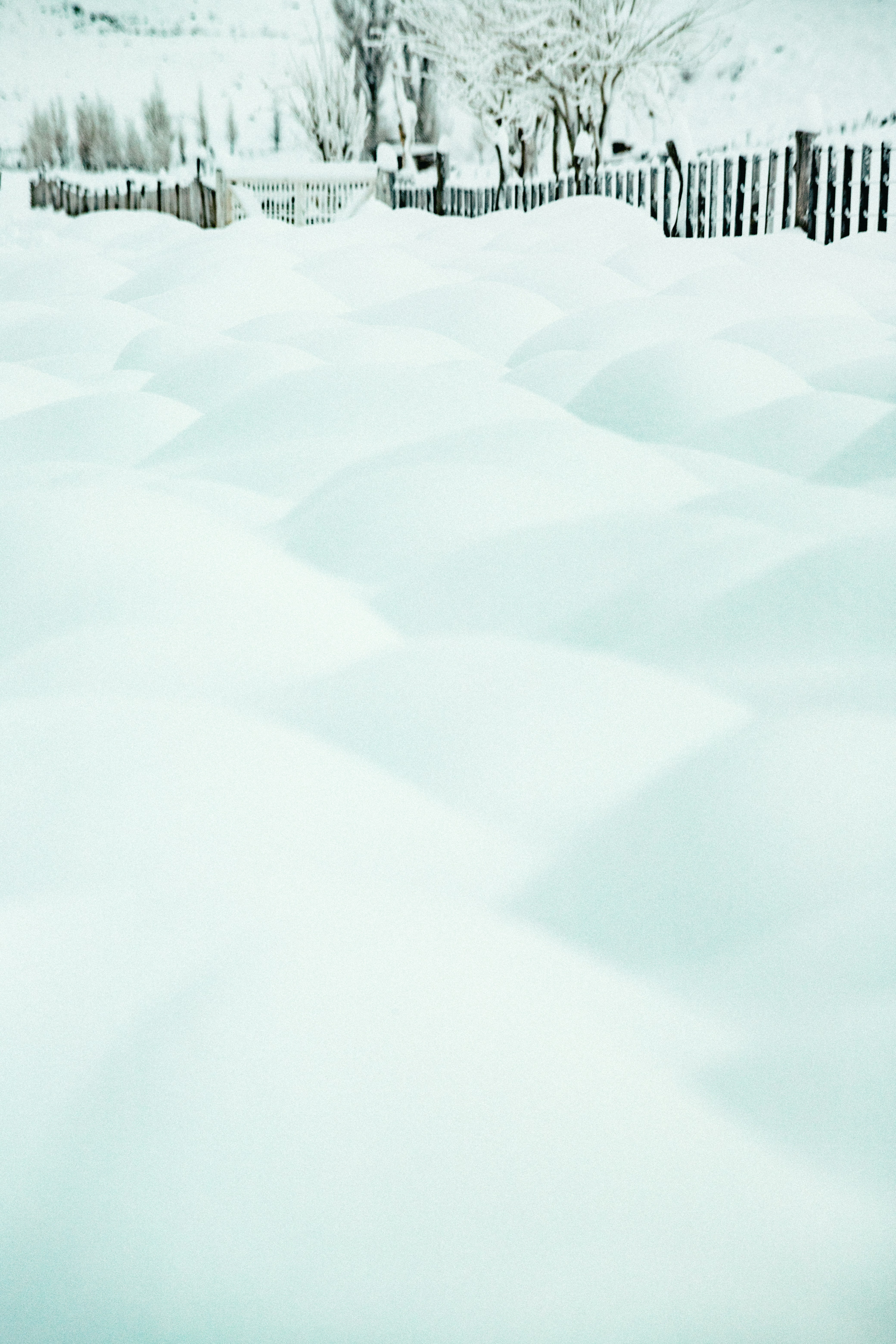 Snowfield Ripple: Fence Lines Framing a Winter Quiet