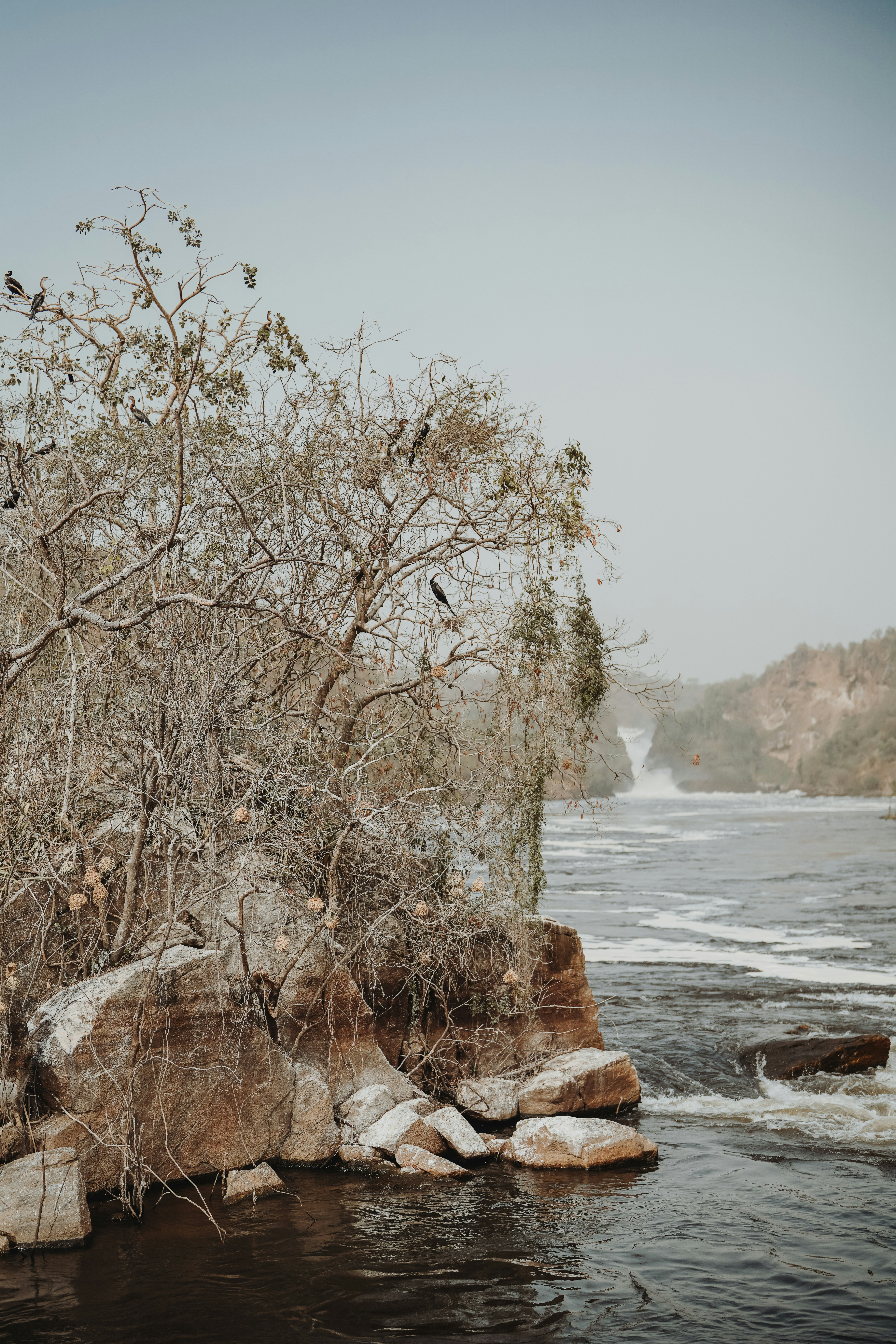 Rugged riverside with weathered foliage guarding the bend