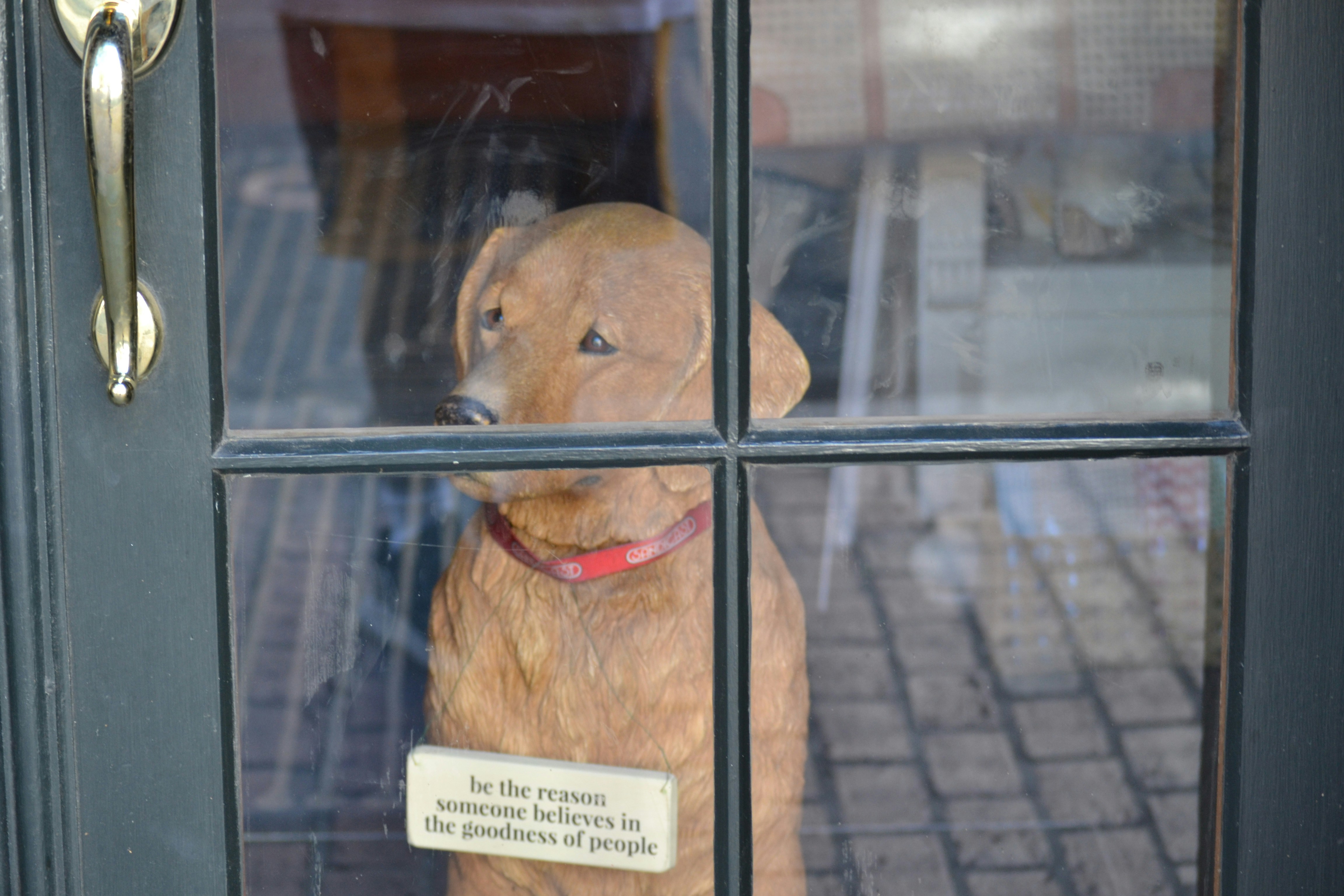 Hidden Keeper: A Dog Behind a Glass Door with a Lone Message