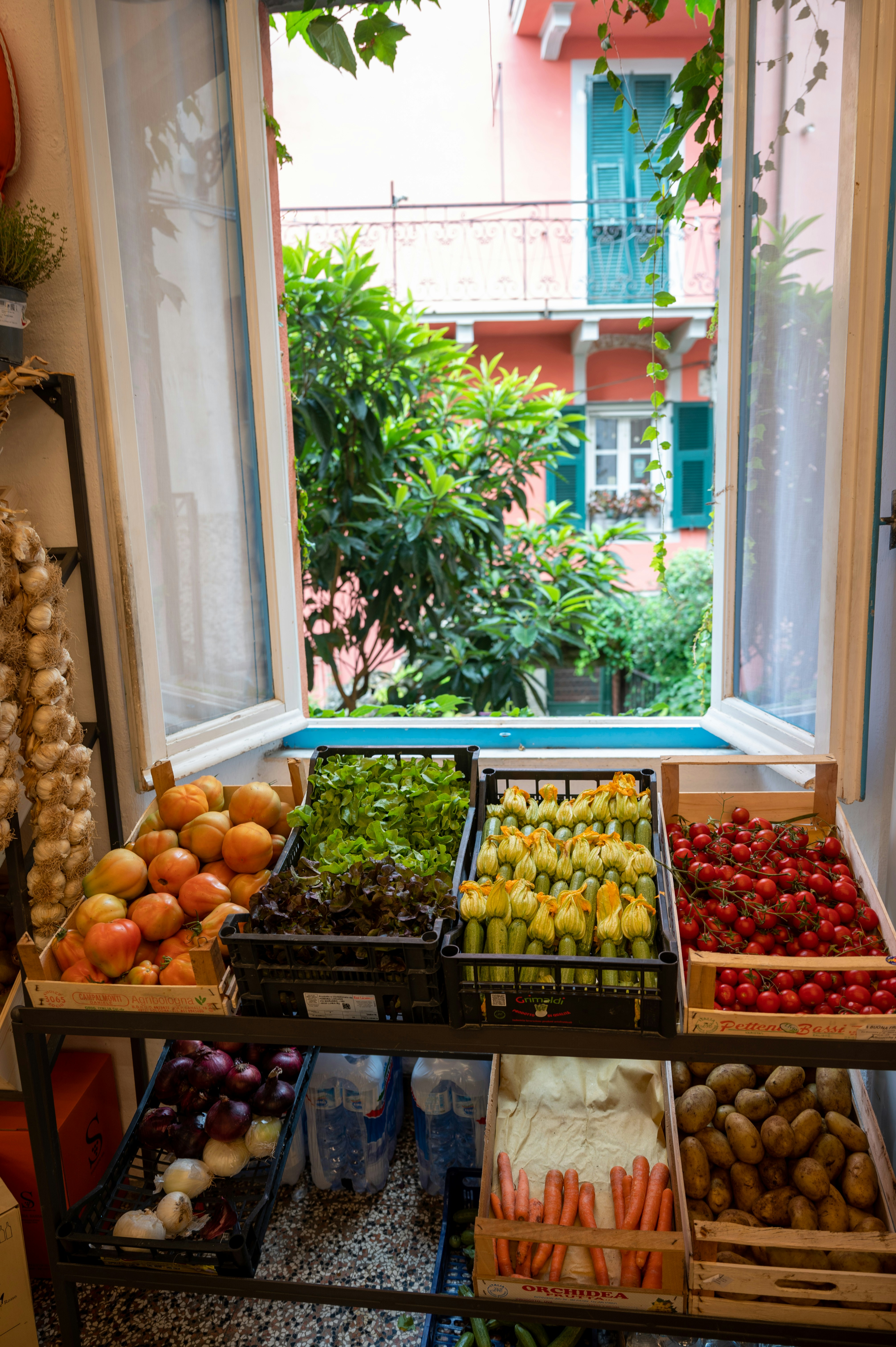 Open-window Produce: Fresh Crates Framing a Sunlit Courtyard