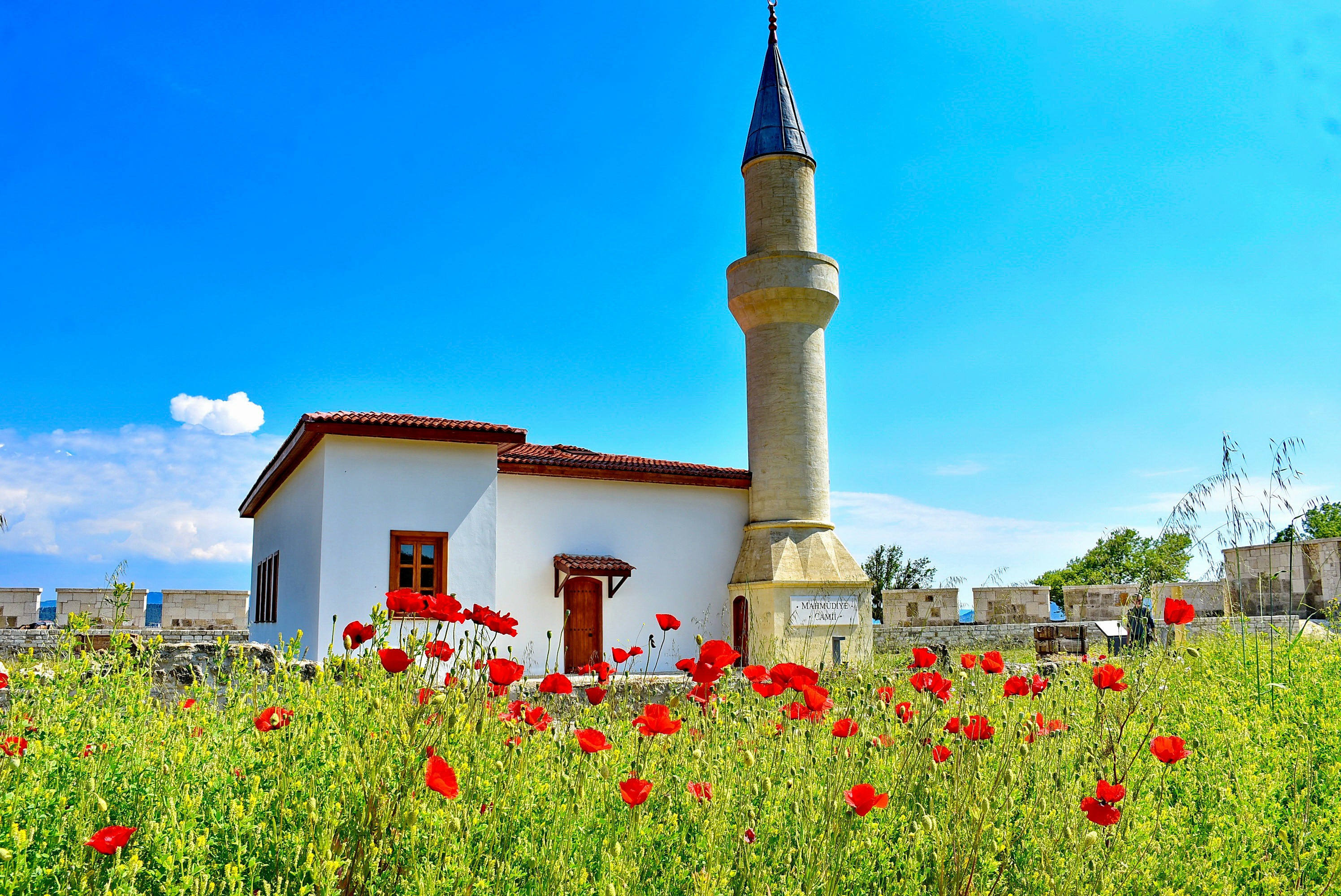 A quaint mosque stands proudly beside a lush field of red poppies under a bright blue sky. The scene captures a harmonious blend of nature and architecture.