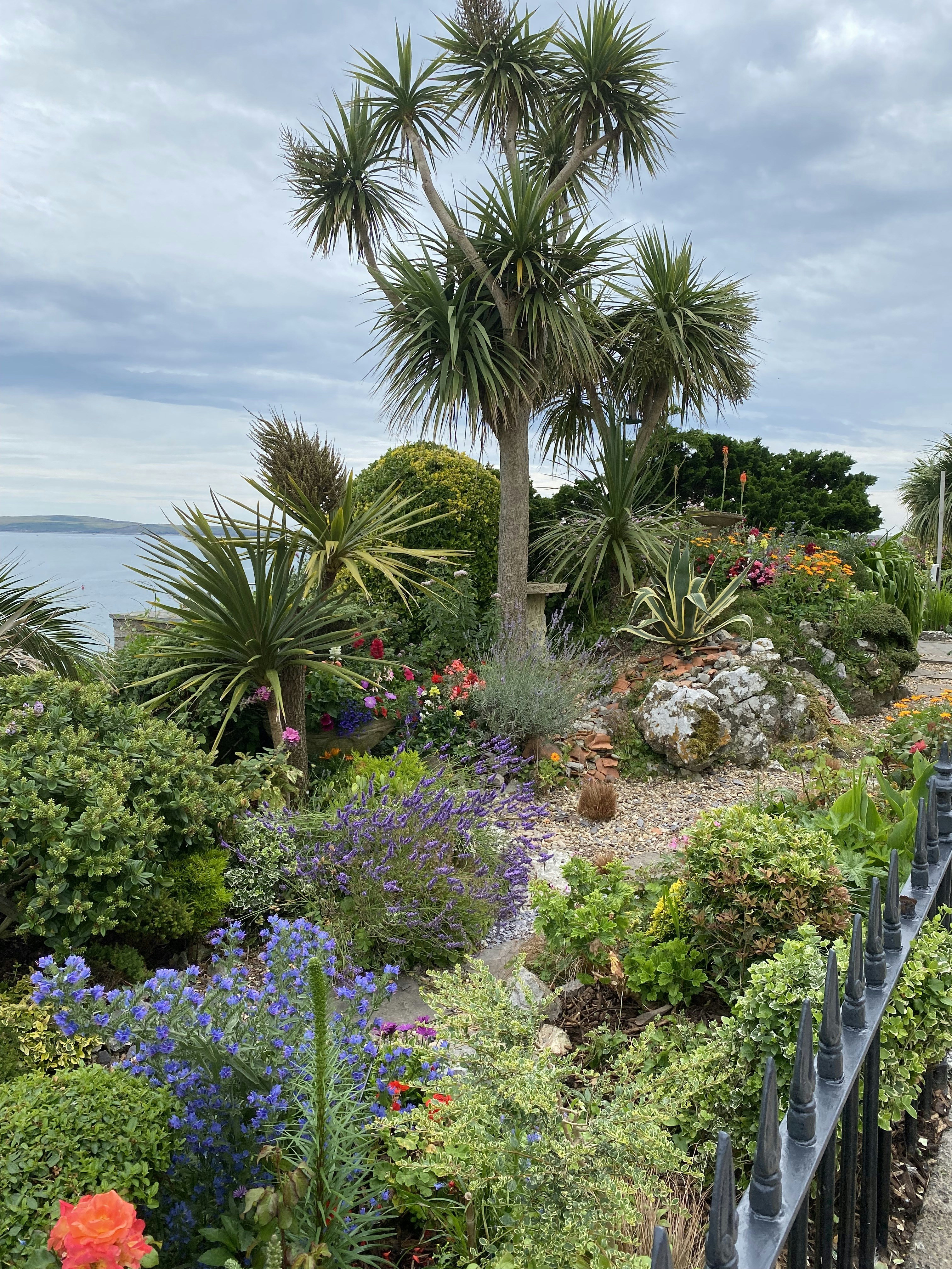 Sea front gardens south beach Tenby