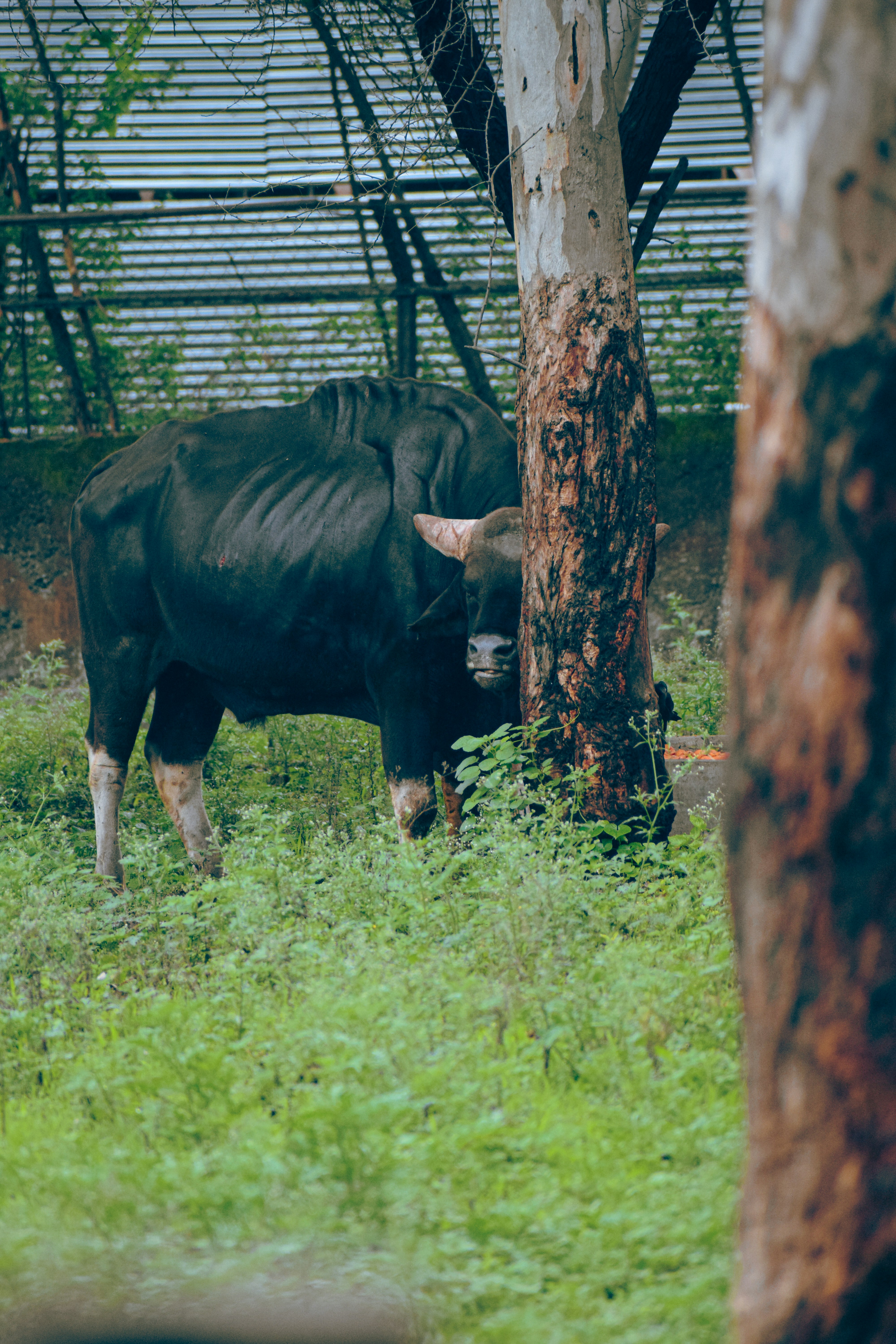 •Shot on Nikon d5300 📸💥🇮🇳