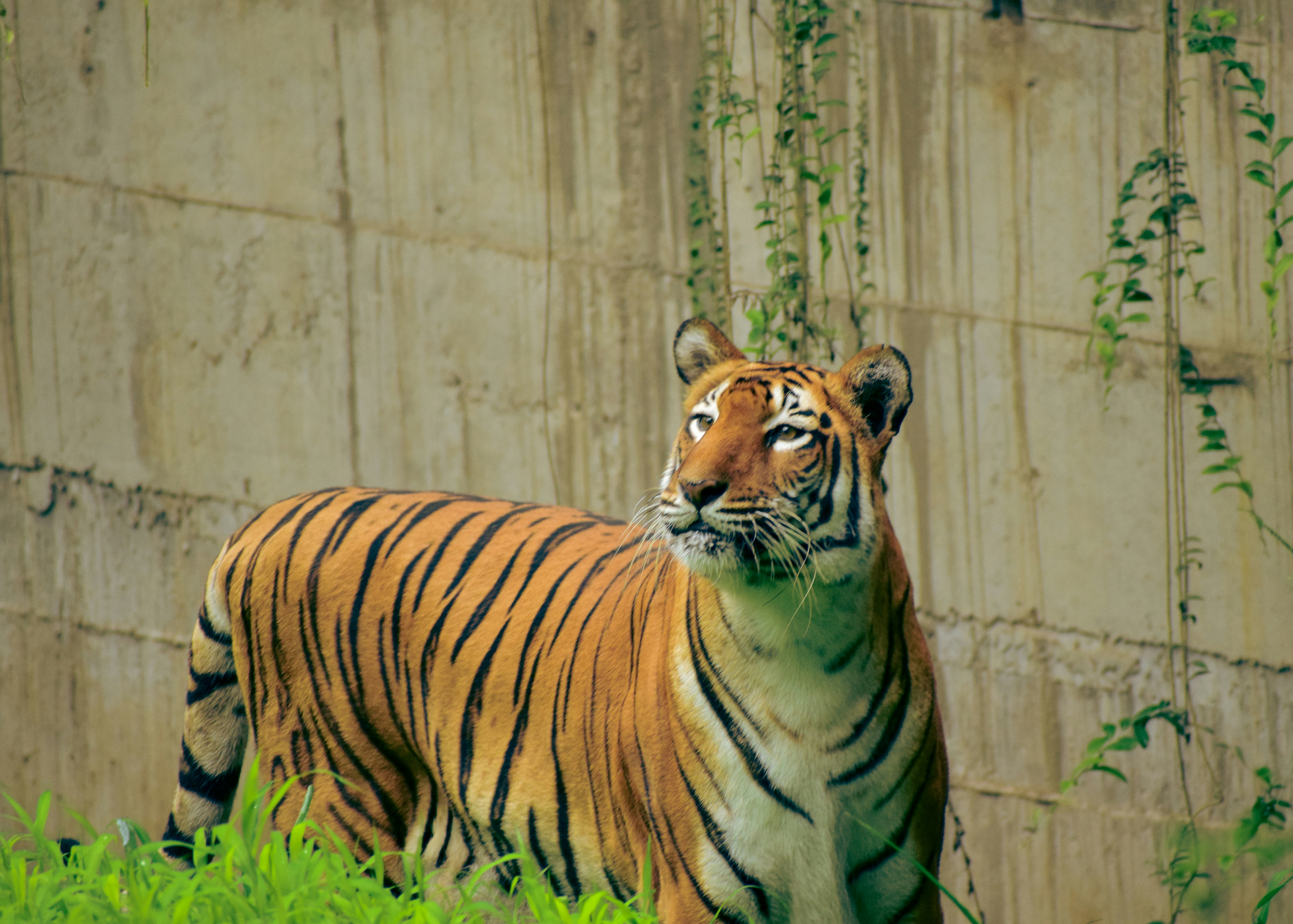 •Shot on Nikon d5300 📸💥🇮🇳