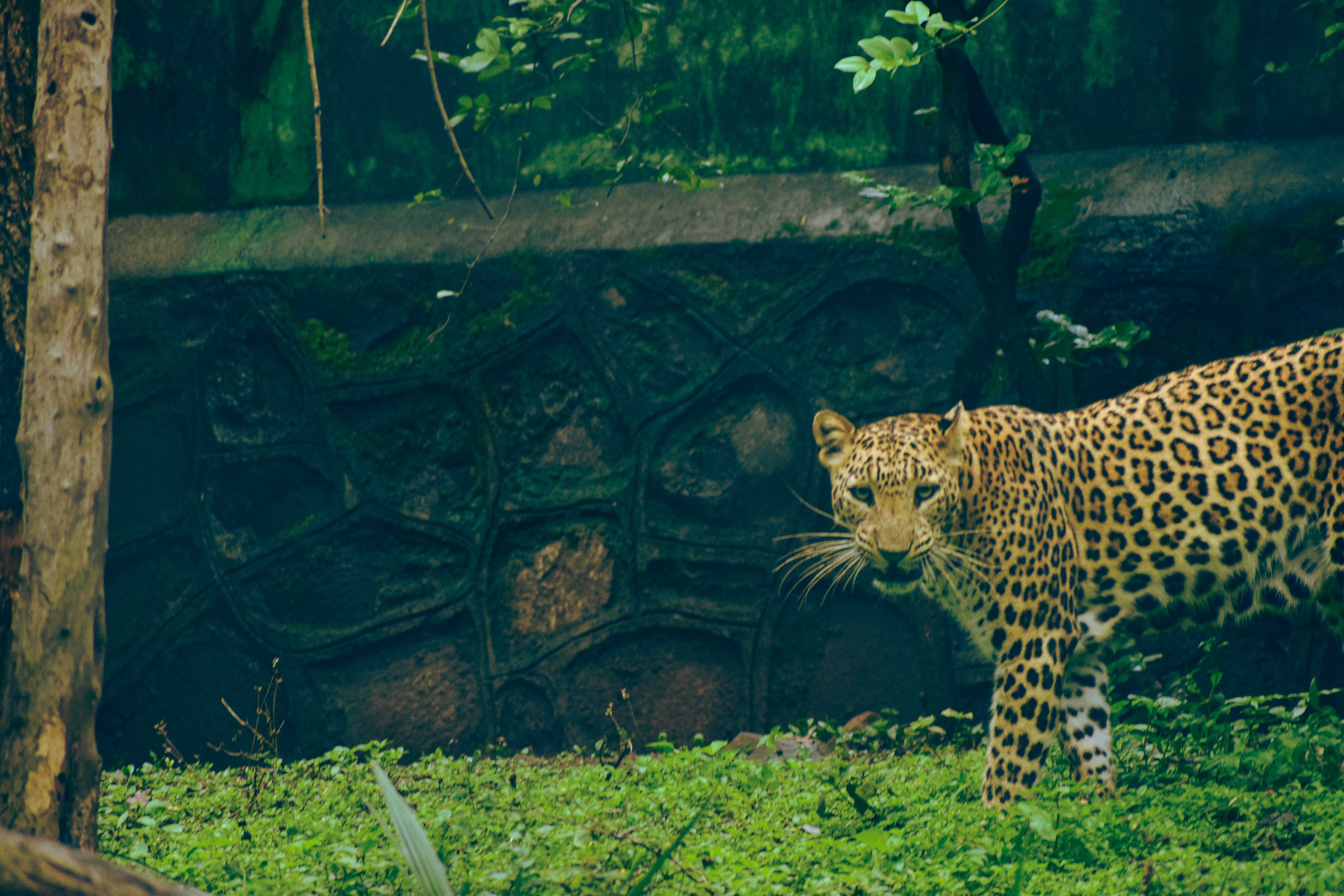•Shot on Nikon d5300 📸💥🇮🇳