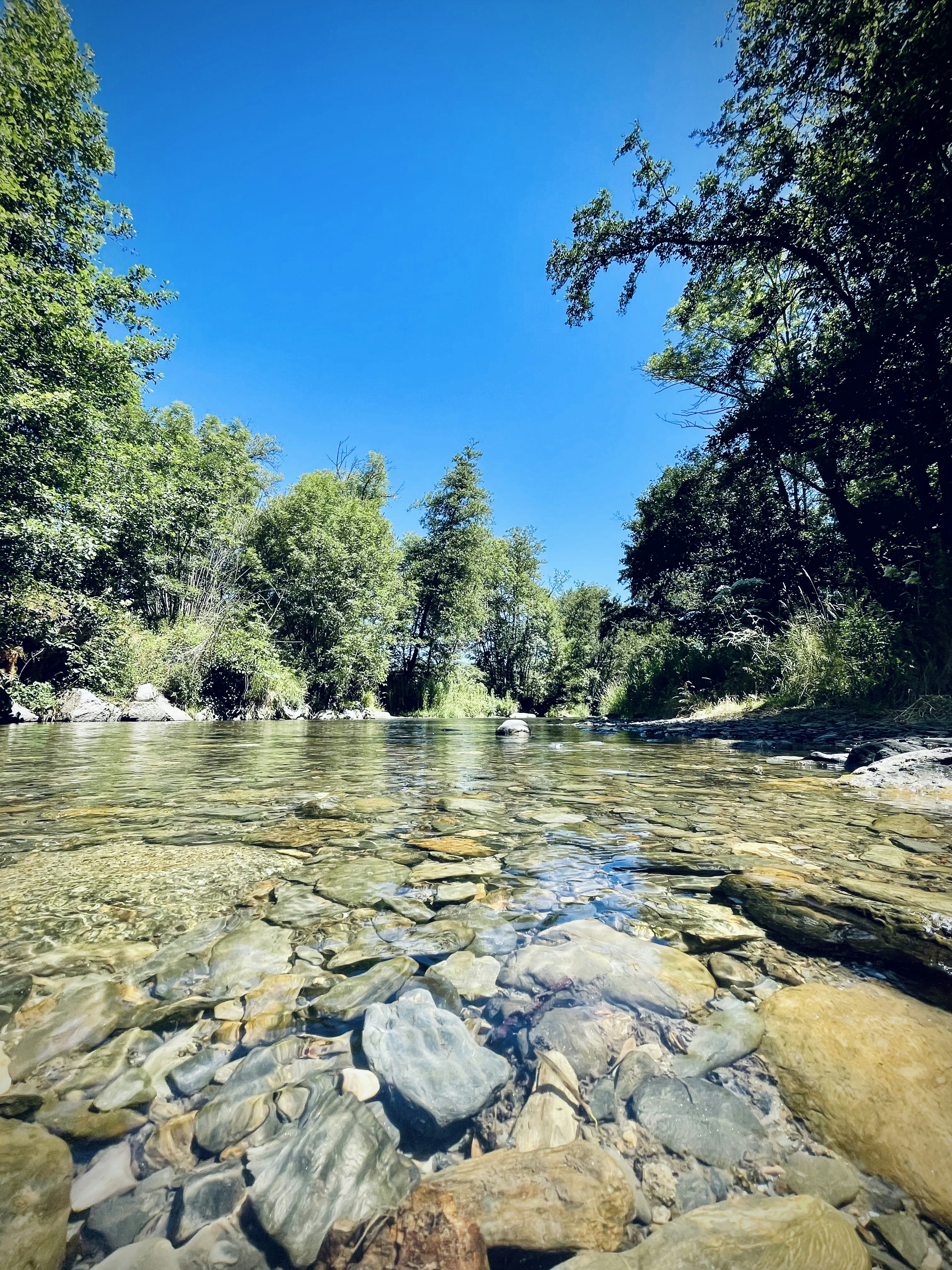 Une rivière avec des rochers et des arbres photo – Photo Pyrénées ...