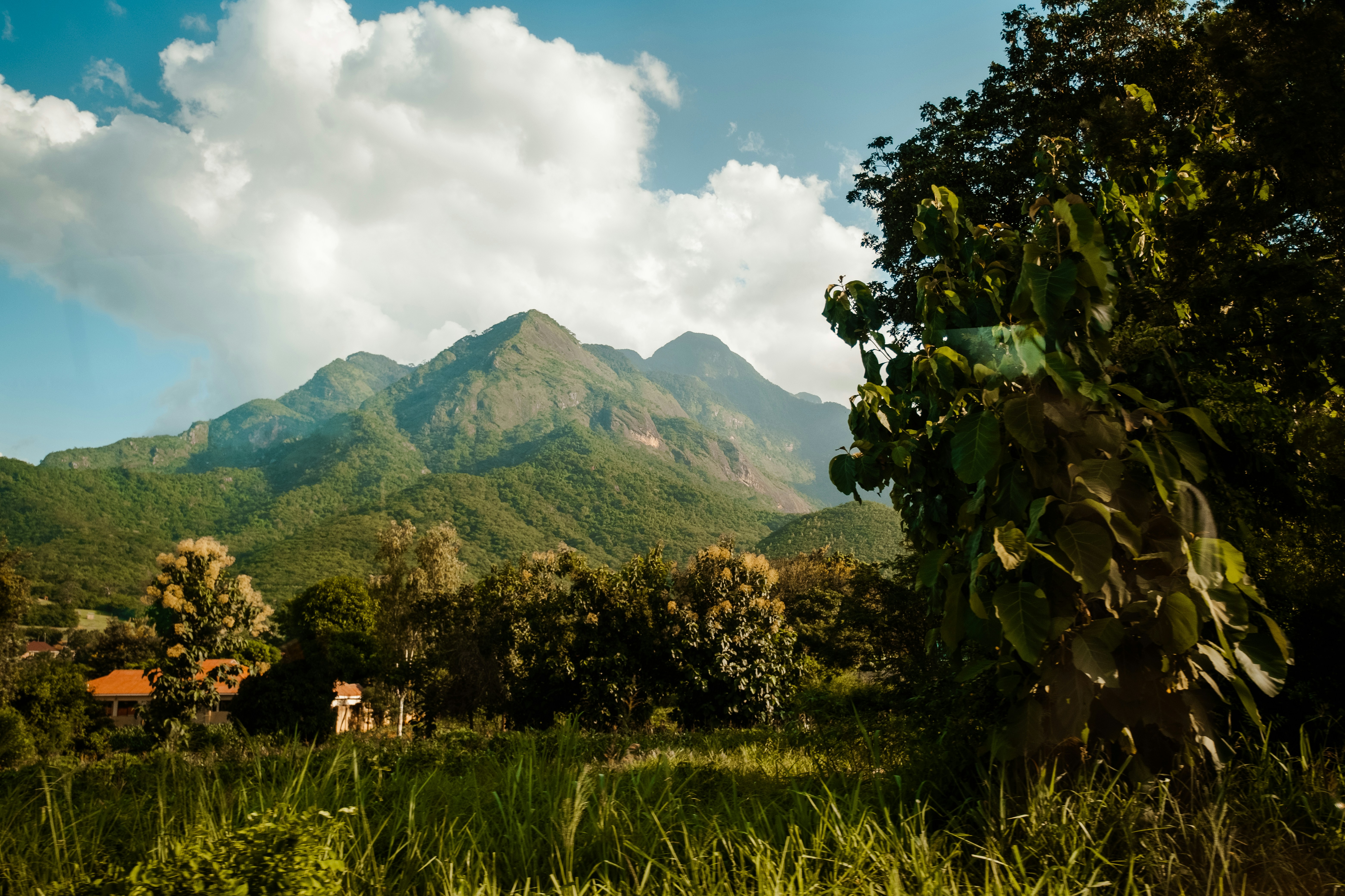 Lush green landscape with towering mountains and a vibrant sky, framed by foreground vegetation. A serene depiction of nature's harmony.