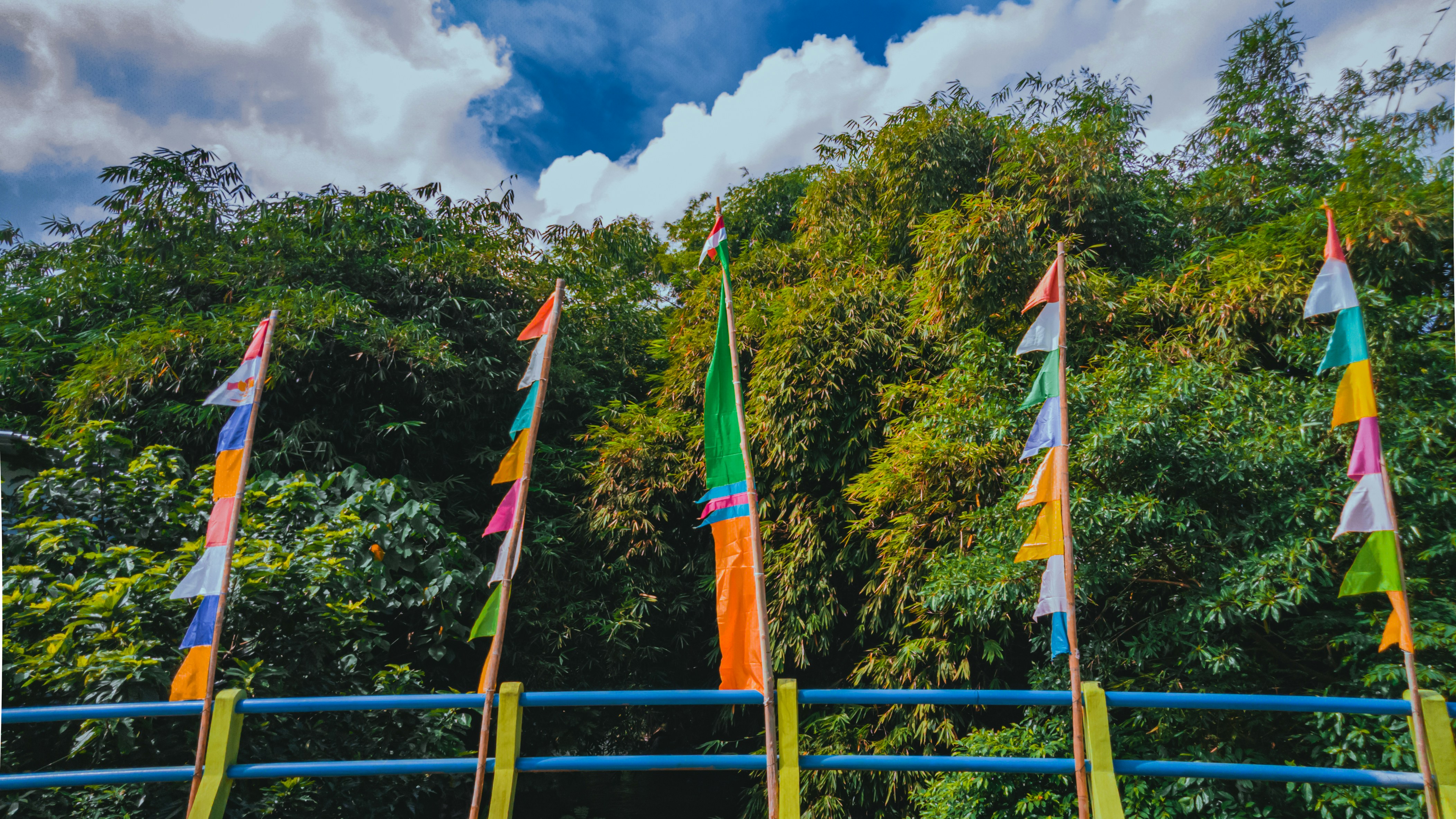 A row of flags photo – Free Plant Image on Unsplash