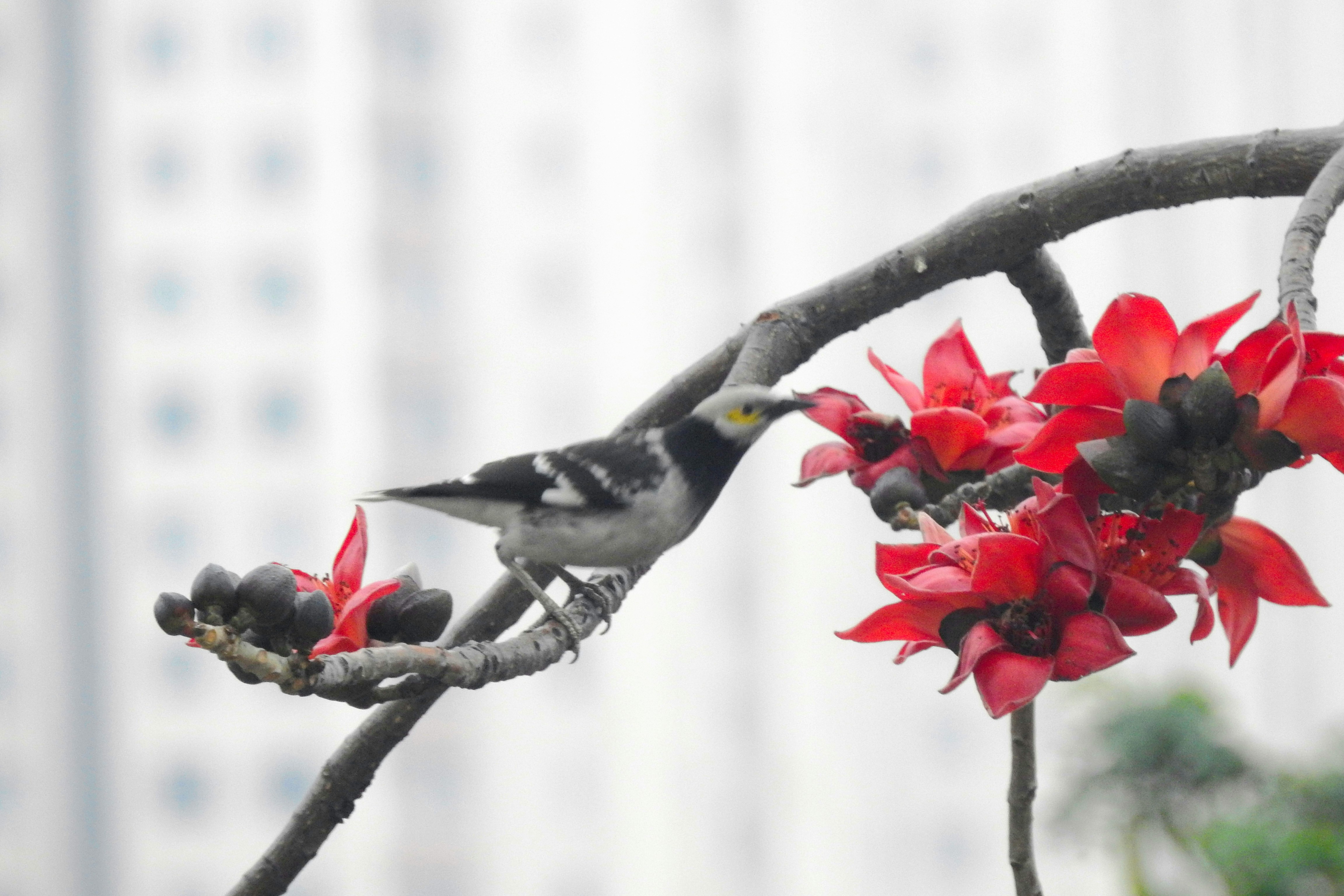 a bird perched on a branch