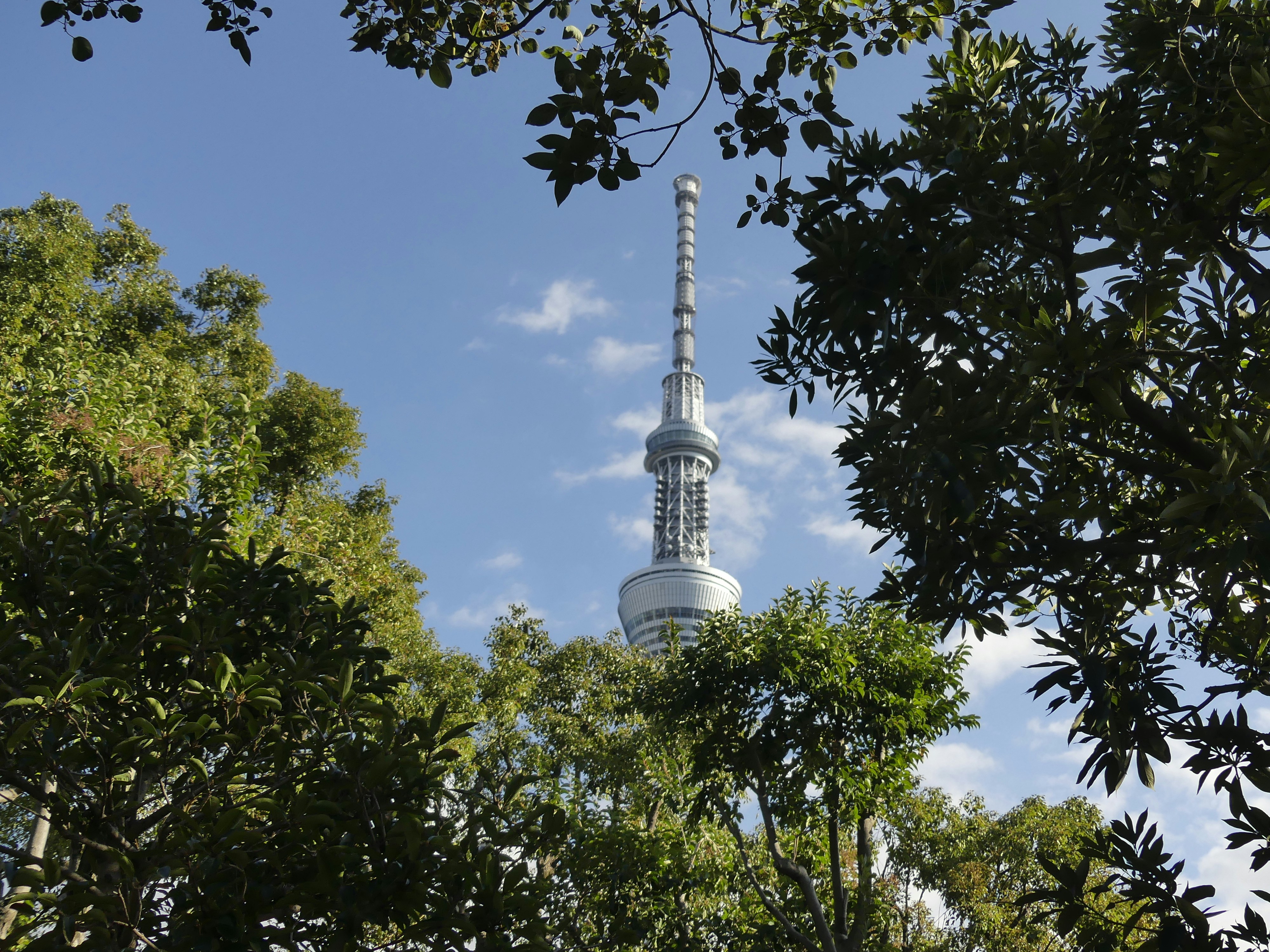 A tall pointy tower behind trees photo – Free Tokyo Image on Unsplash