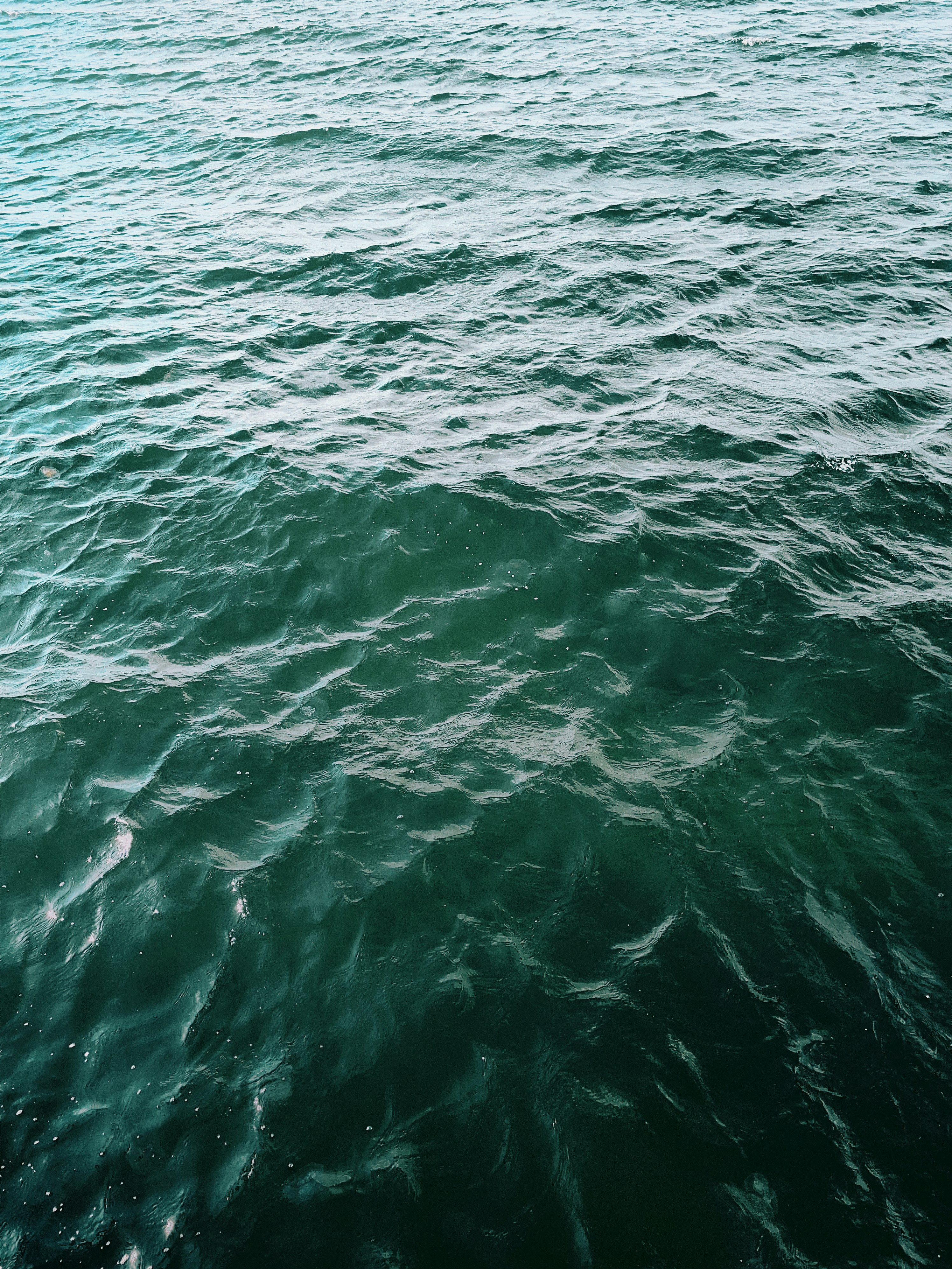 Photo by PTRCWRNR with Apple iPhone 12