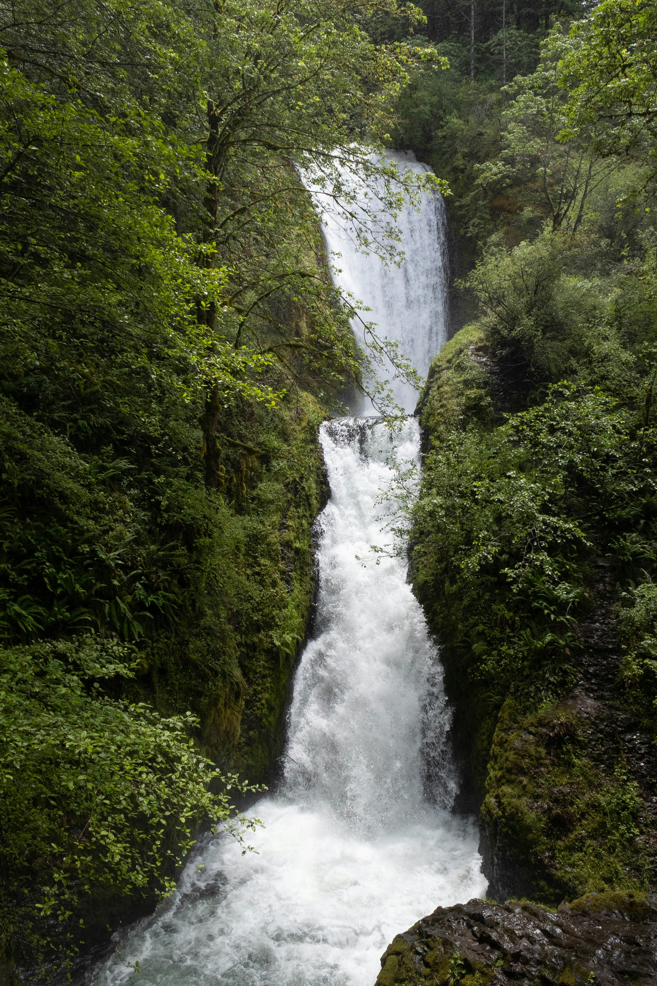 Chutes Lady Barron Photos | Télécharger des images gratuites sur Unsplash