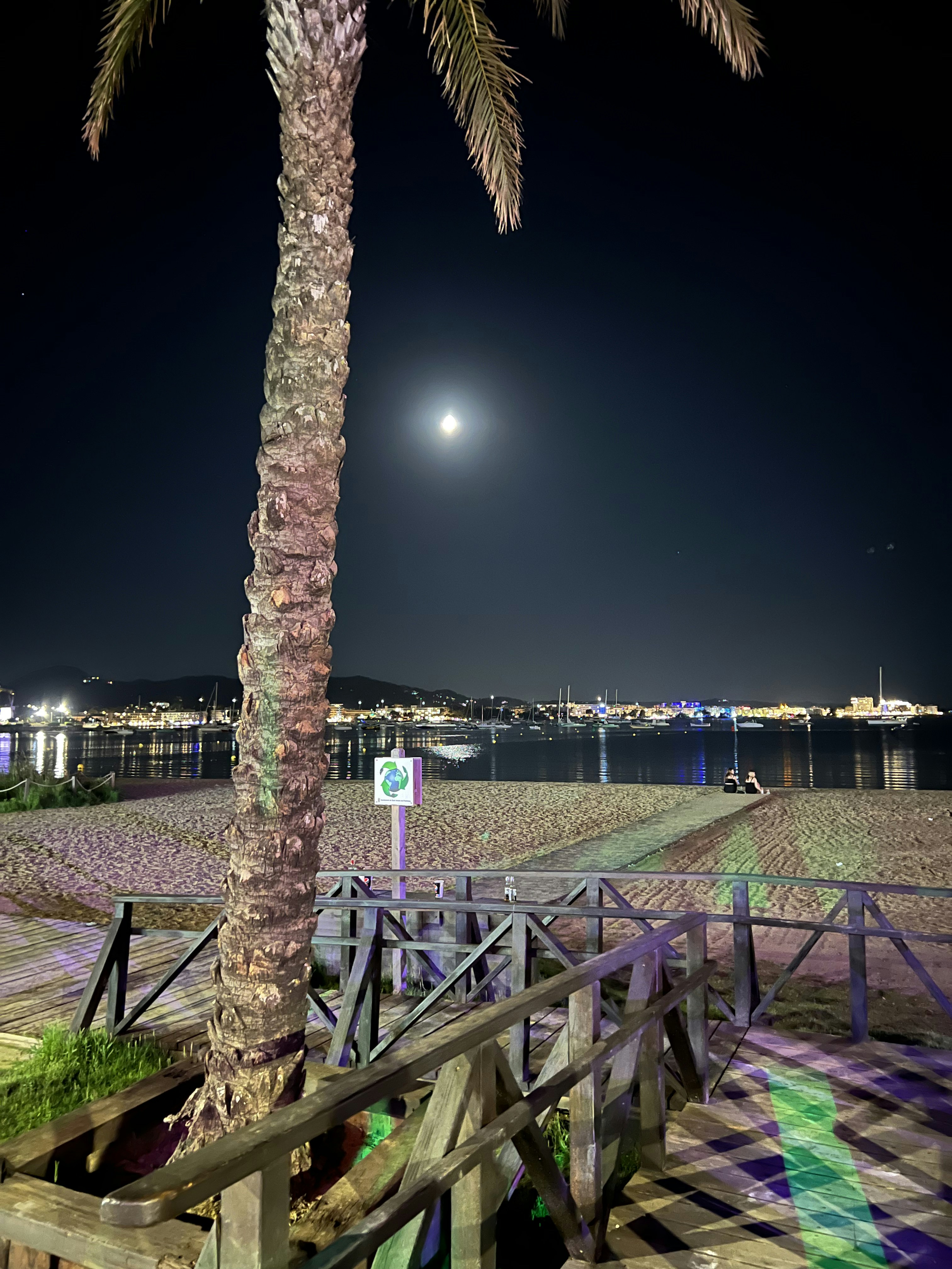 Palm tree silhouetted against a moonlit beach with distant city lights reflecting on the water.