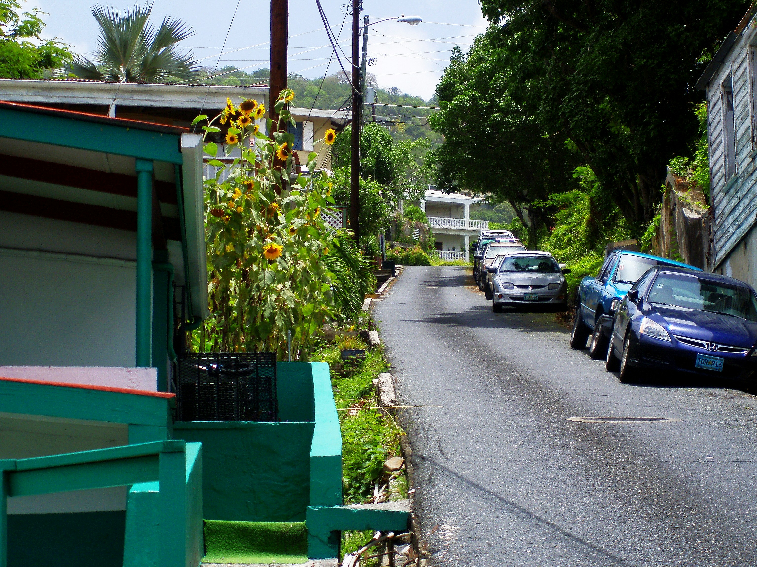 Colorful houses line a serene hillside street, adorned with sunflowers and parked cars. The lush greenery enhances the tranquil atmosphere.