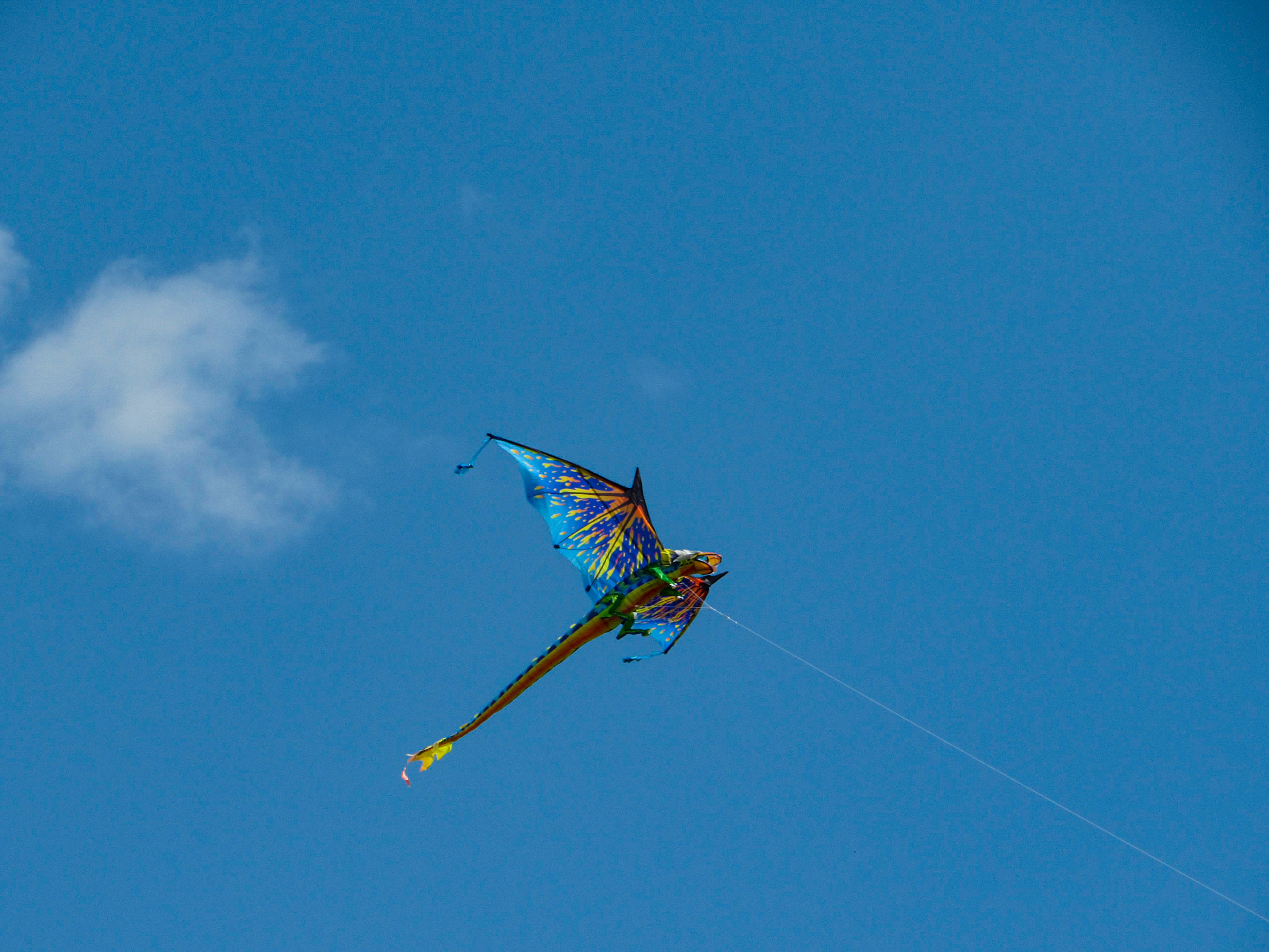 Photo by Rose Gills with Canon PowerShot SX530 HS